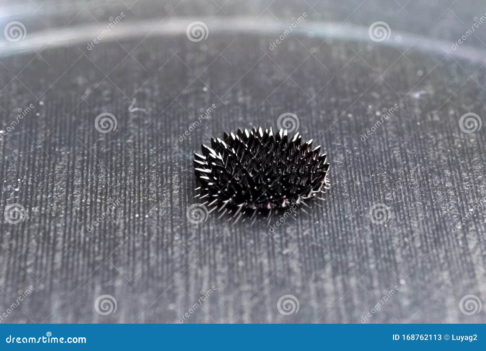 Beautiful Forms of Ferromagnetic Fluid. Iron Dissolved in a Liqu Stock ...