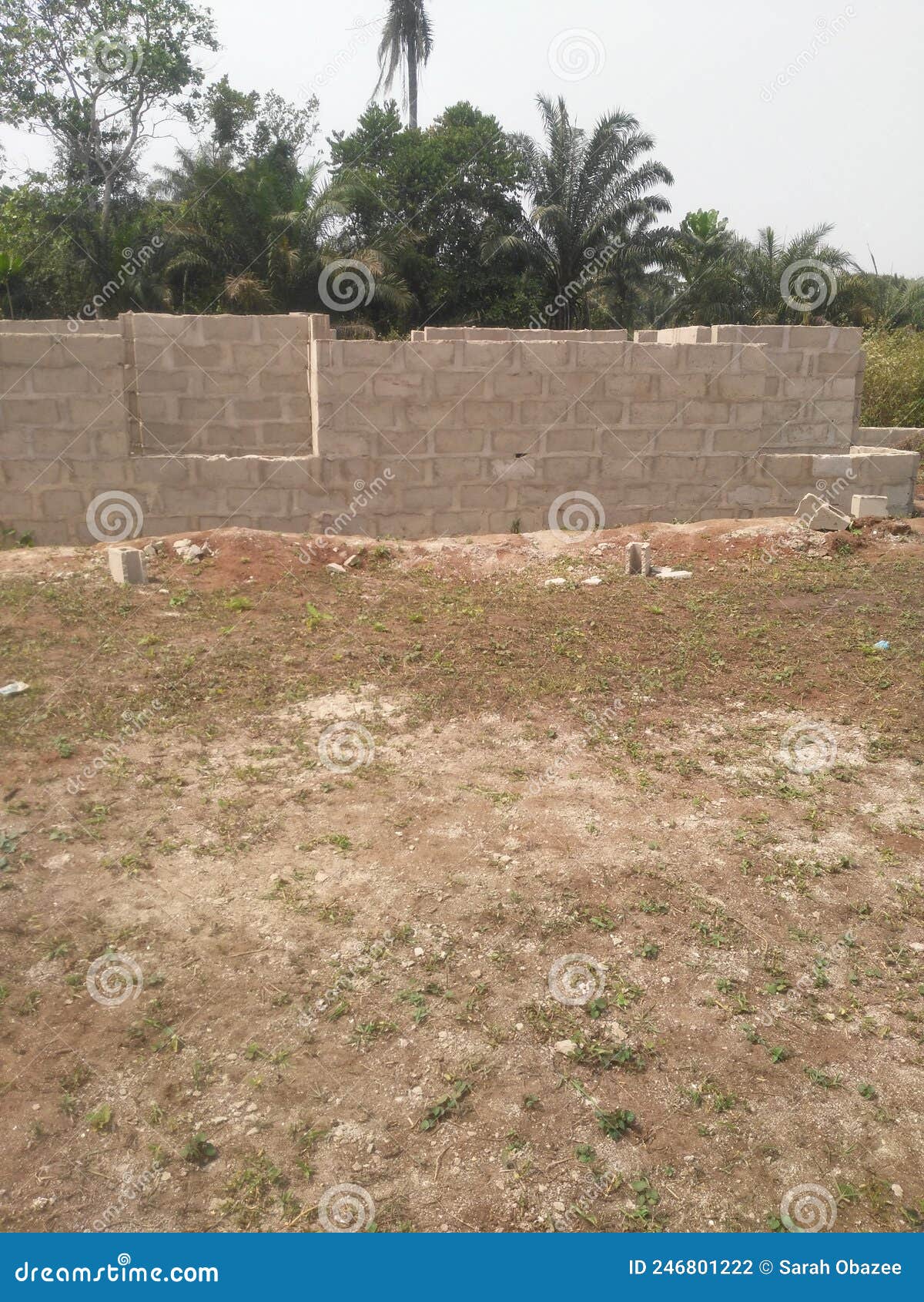 A Beautiful Foundation of a House with Trees Behind Stock Photo - Image ...