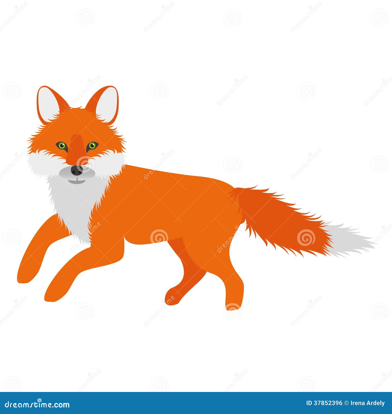 Beautiful fox stock vector. Illustration of drawing, clip - 37852396