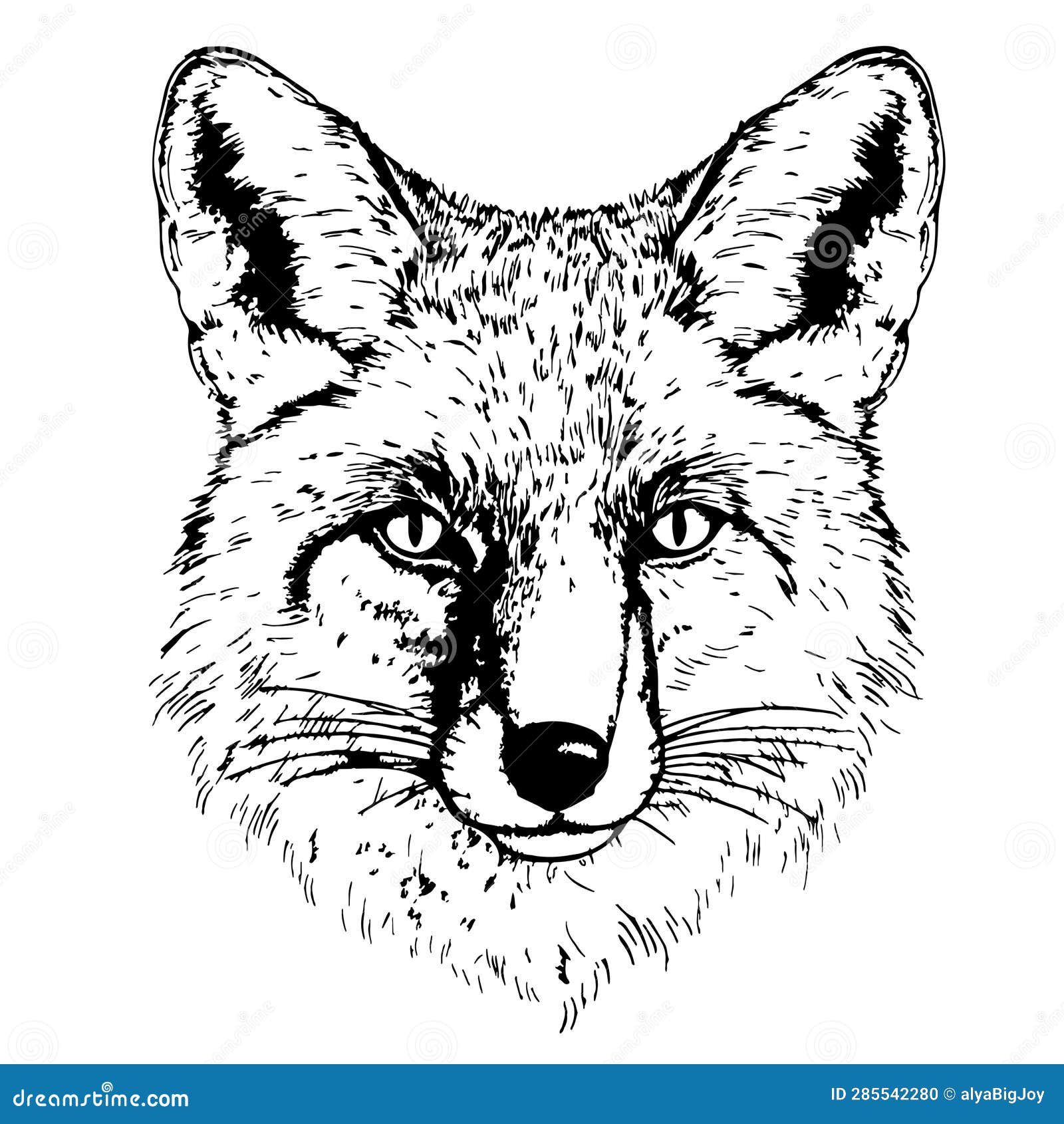 Beautiful Fox Head Sketch Hand Drawn Vector Illustration Stock ...