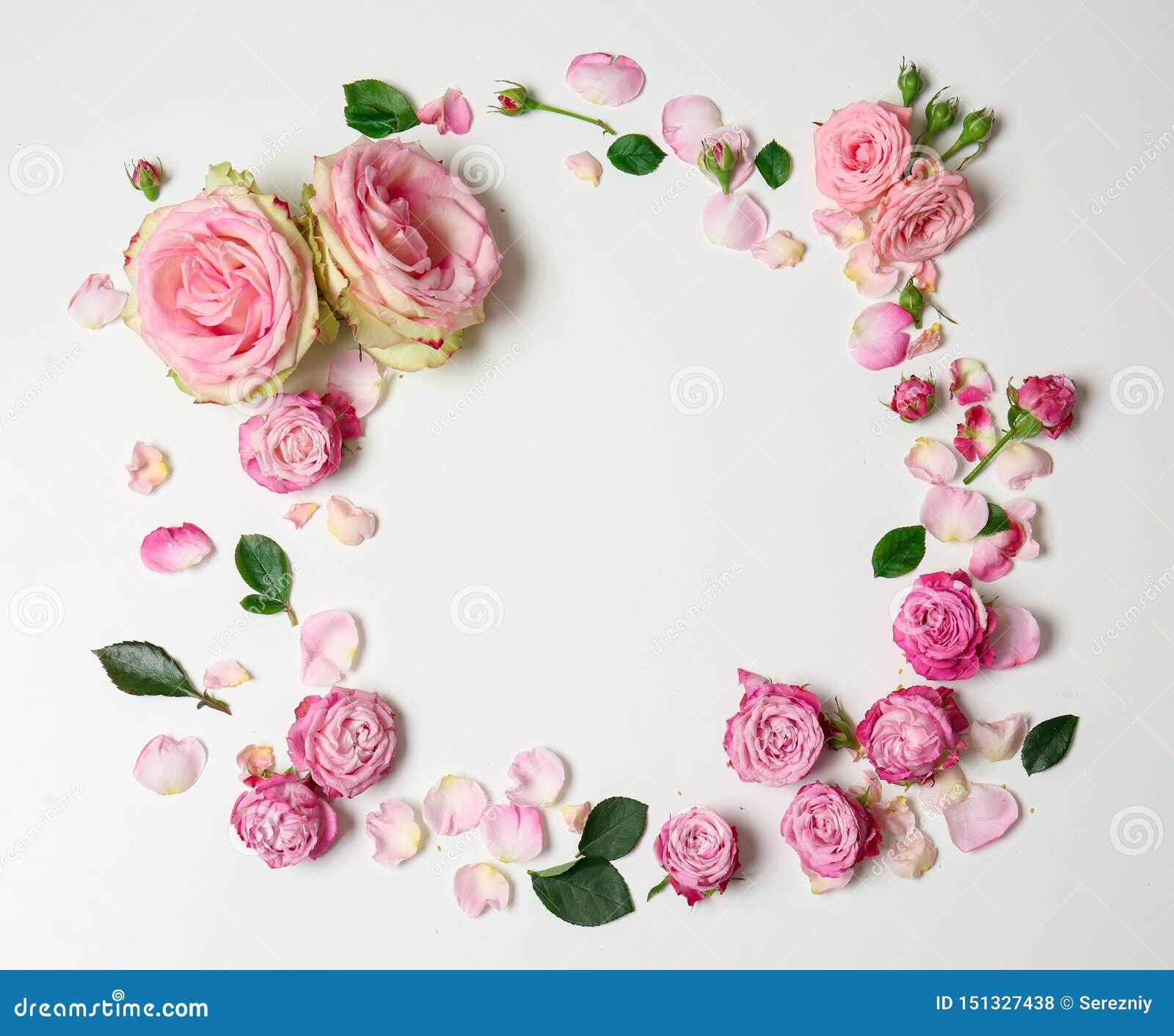 Beautiful Frame Made of Pink Roses on White Background Stock Photo ...
