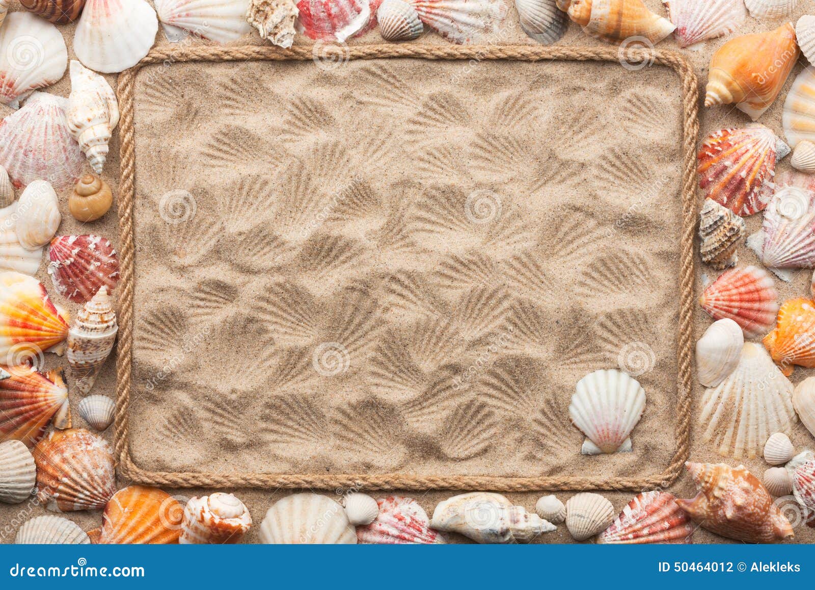 Beautiful Frame of Rope and Sea Shells on the Sand Stock Photo - Image ...