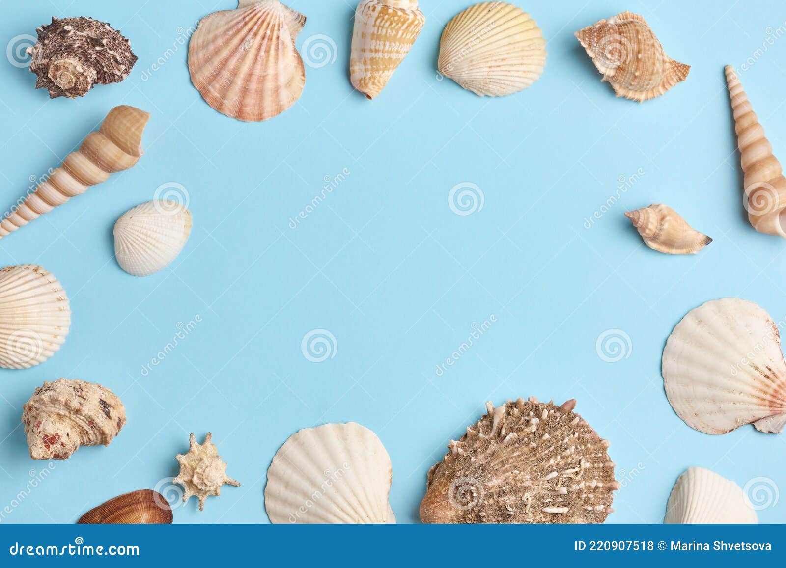 Beautiful Frame of Shells and Seashells on a Blue Background. Simple ...