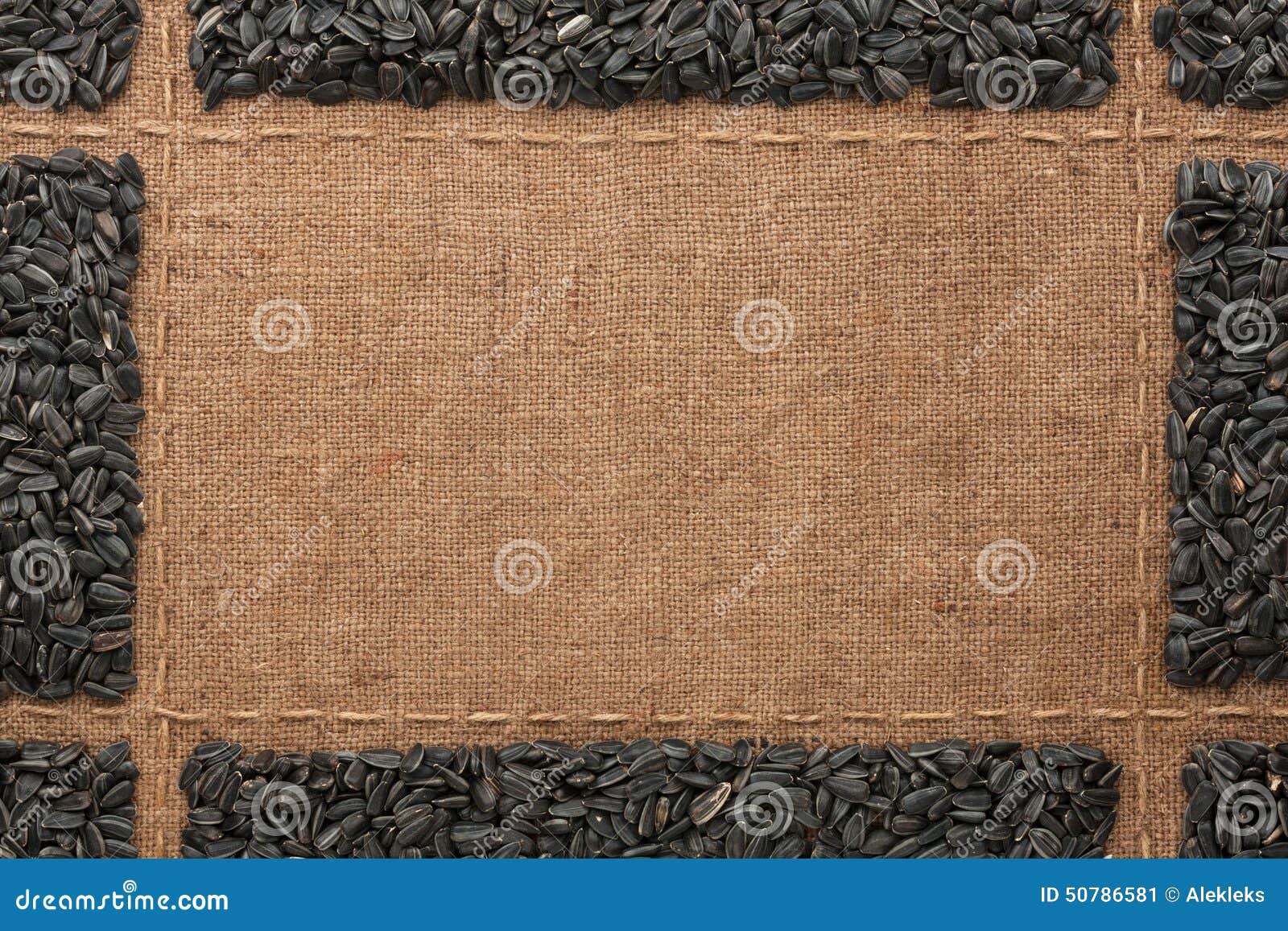 Beautiful Frame with Sunflower Seeds on Sackcloth Stock Image - Image ...
