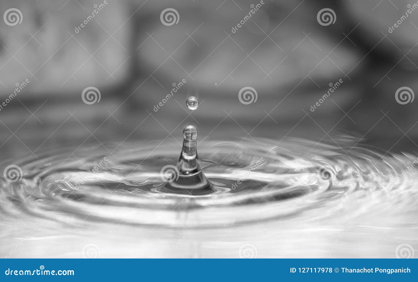 Beautiful Fresh Drop Water in Fresh Nature Stock Photo - Image of ...