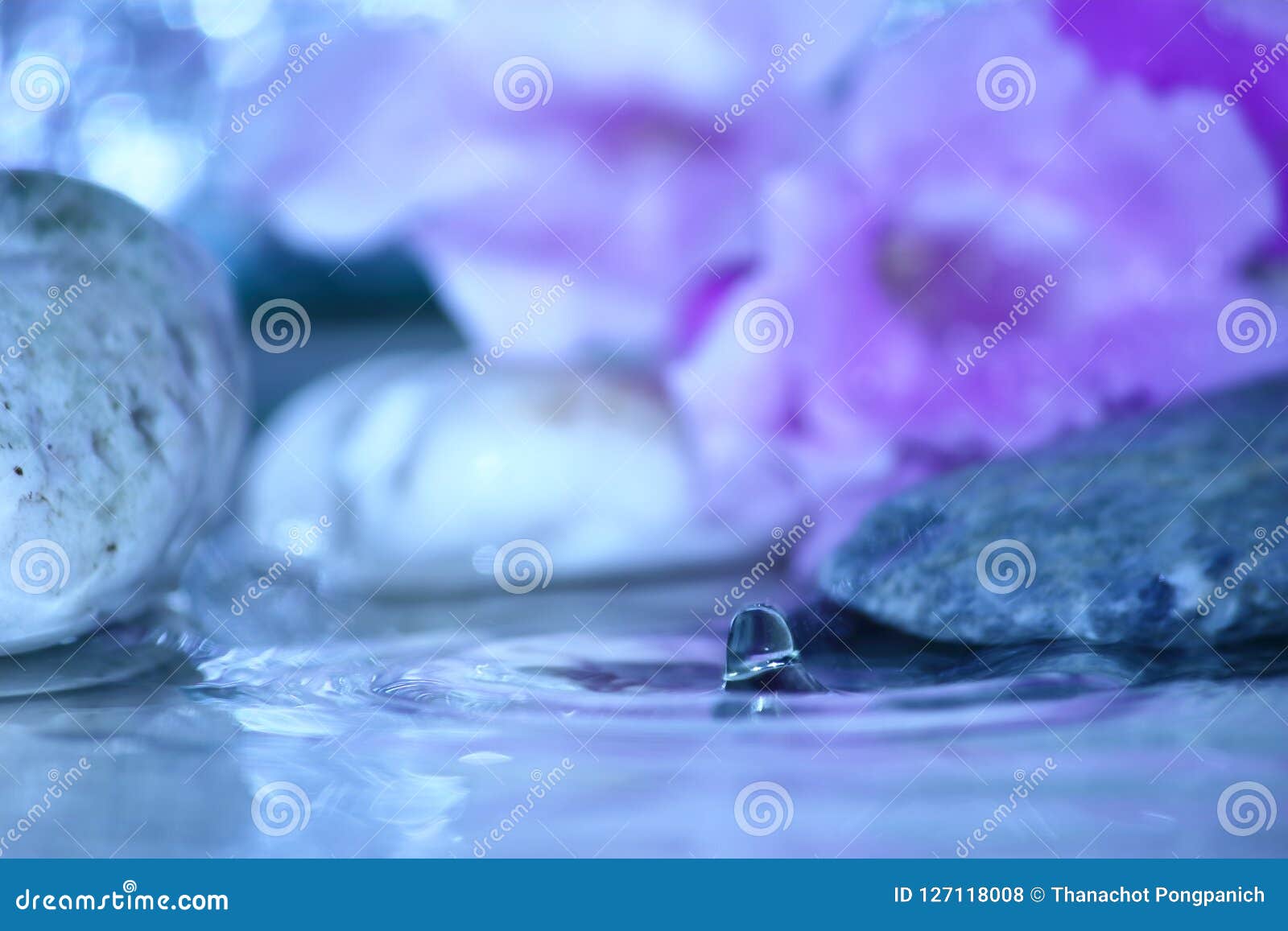 Beautiful Fresh Drop Water in Fresh Nature Stock Photo - Image of drop ...