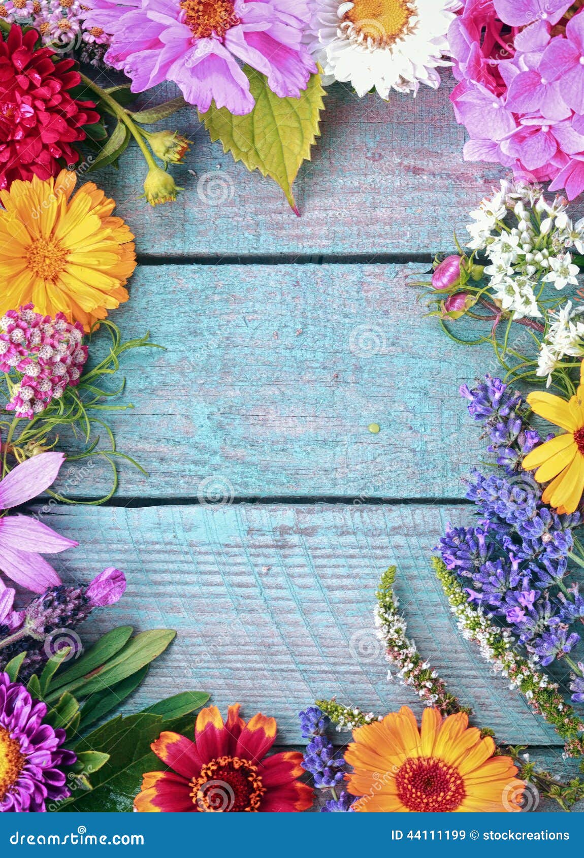 Beautiful Fresh Floral Border Stock Image - Image of dahlia, decorative ... Beautiful Fresh Floral Border Stock Image - Image of dahlia, decorative ...