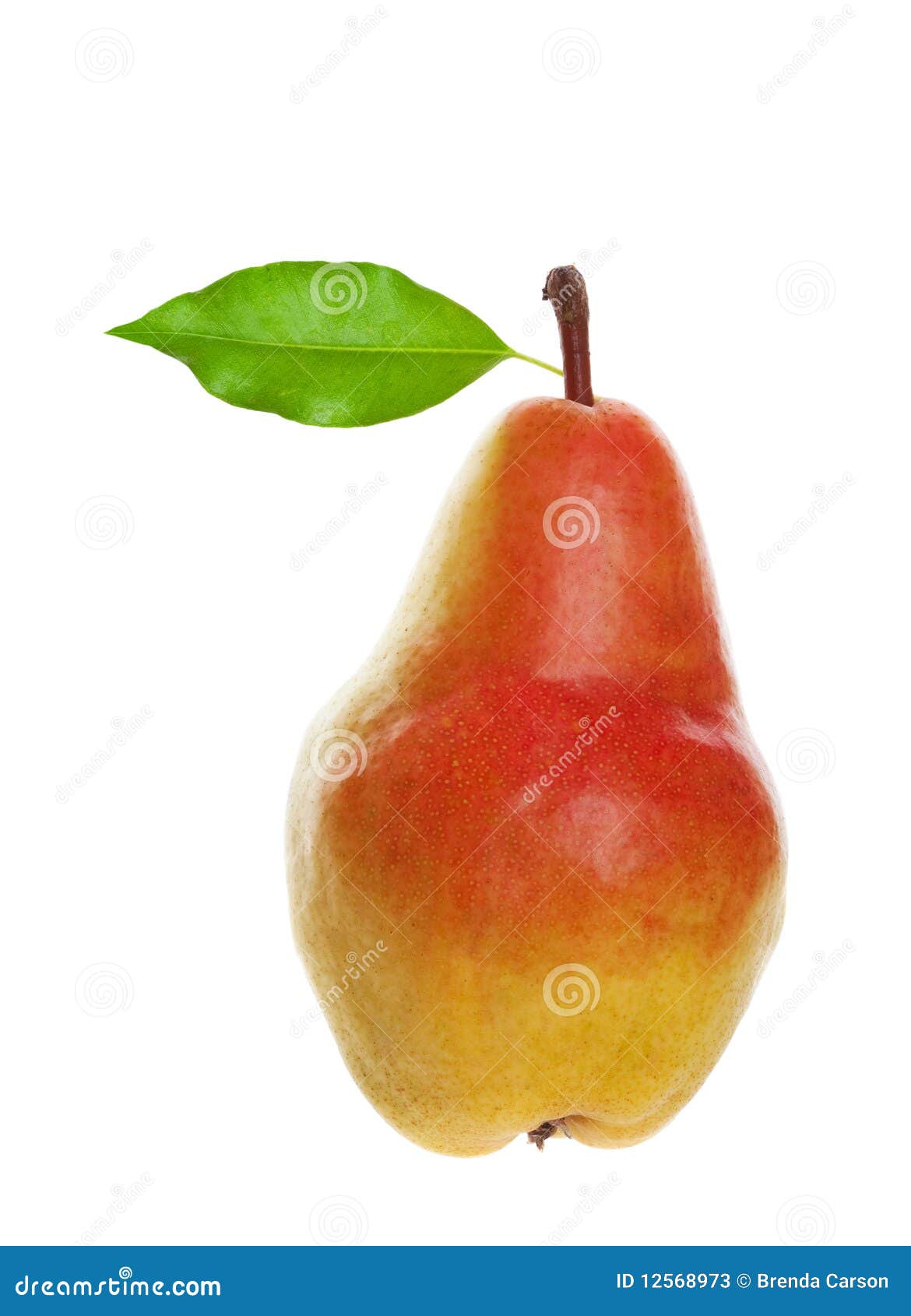Beautiful Fresh Pear stock image. Image of leaf, nutritious - 12568973