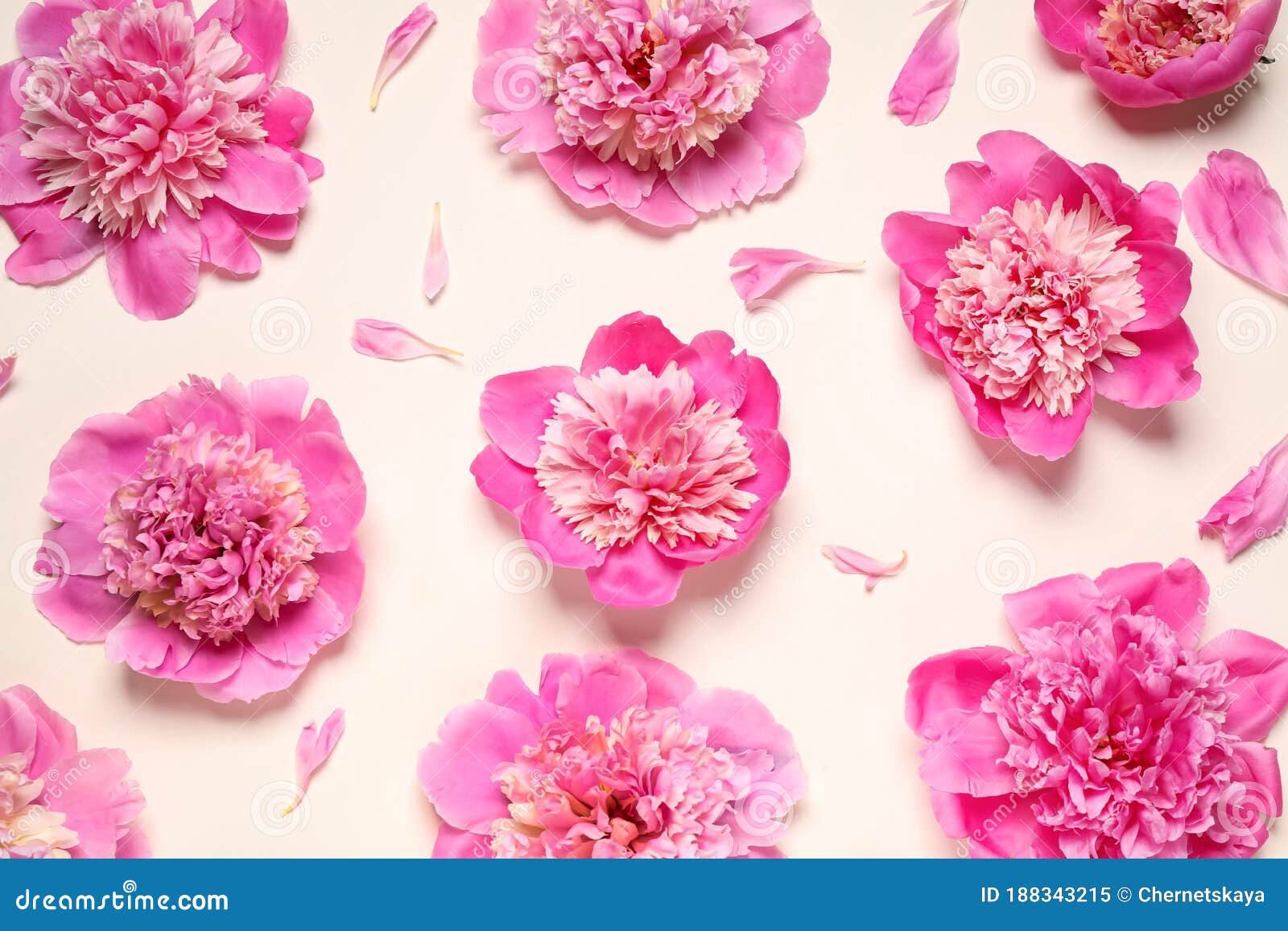 Beautiful Fresh Peonies on Beige Background Stock Image - Image of ...