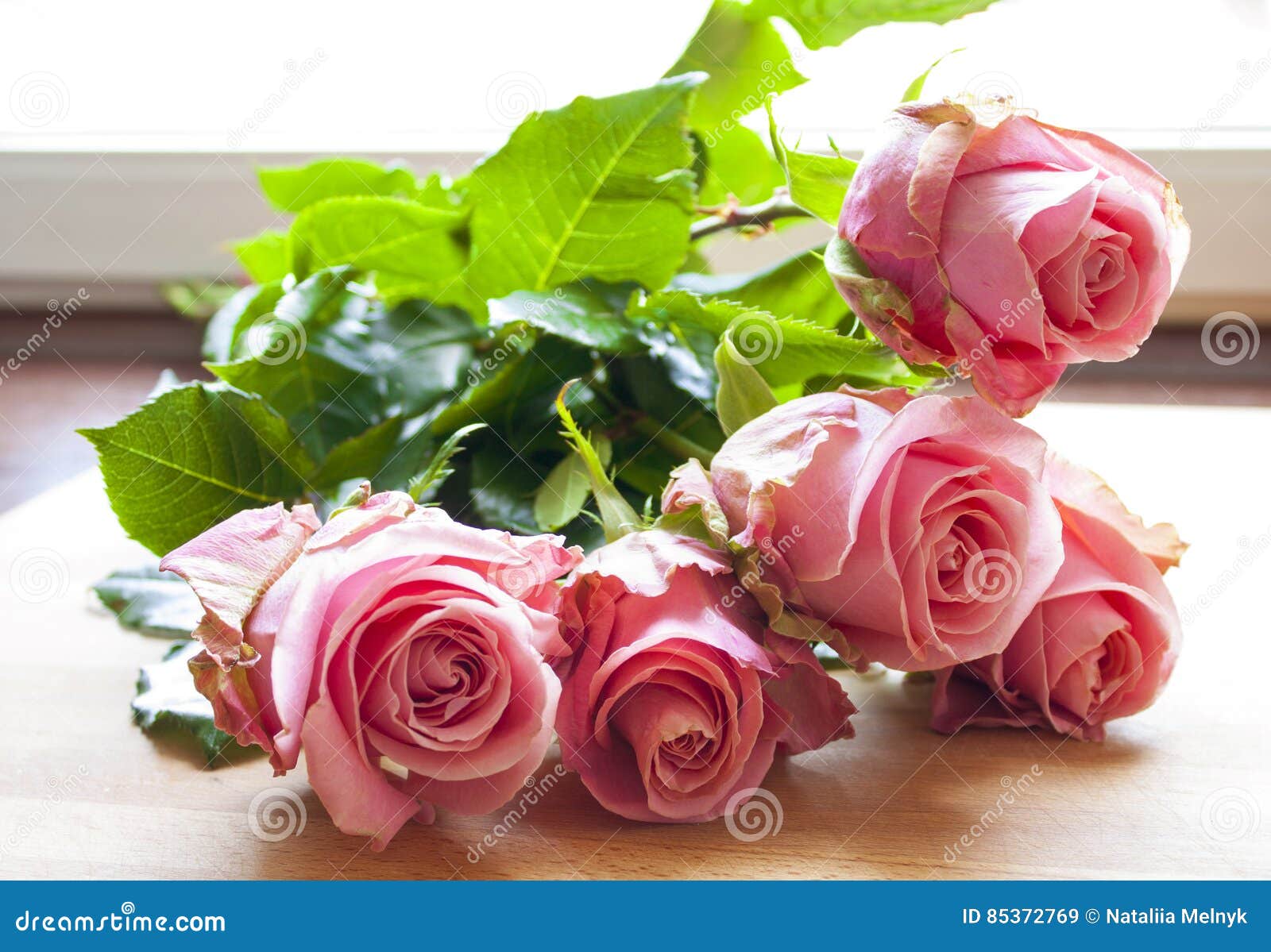 Beautiful Fresh Pink Roses. Stock Image - Image of lovely, bouquet ...