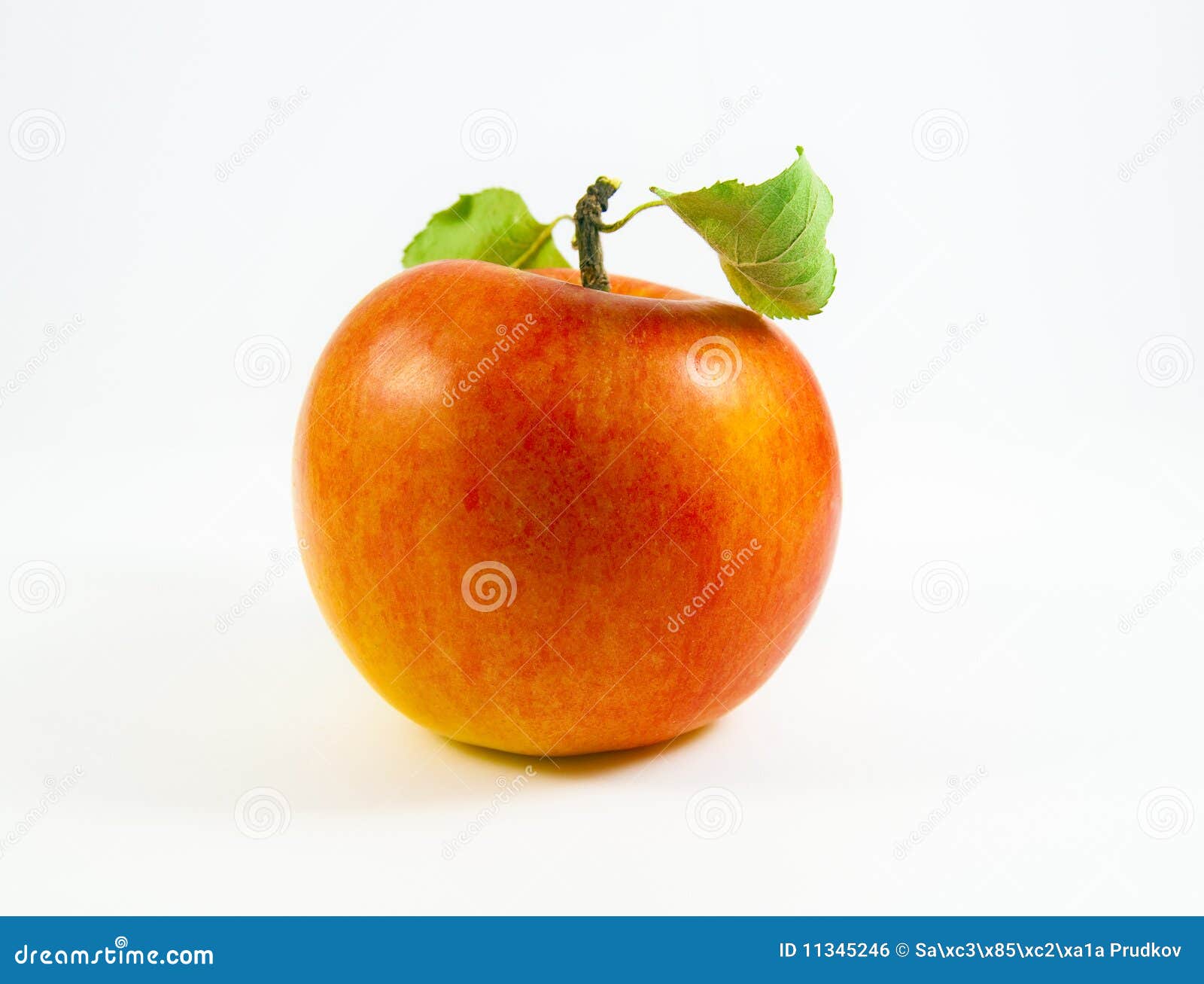 Beautiful fresh red apple stock photo. Image of fresh - 11345246