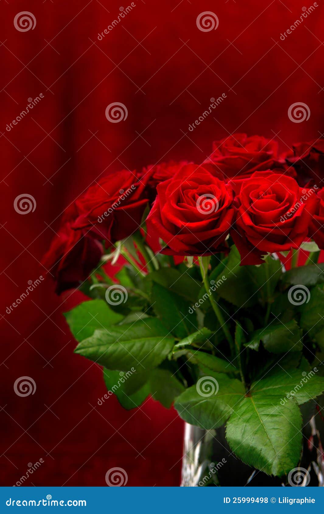 Beautiful Fresh Red Roses Bouquet Stock Photo - Image of arrangement ...