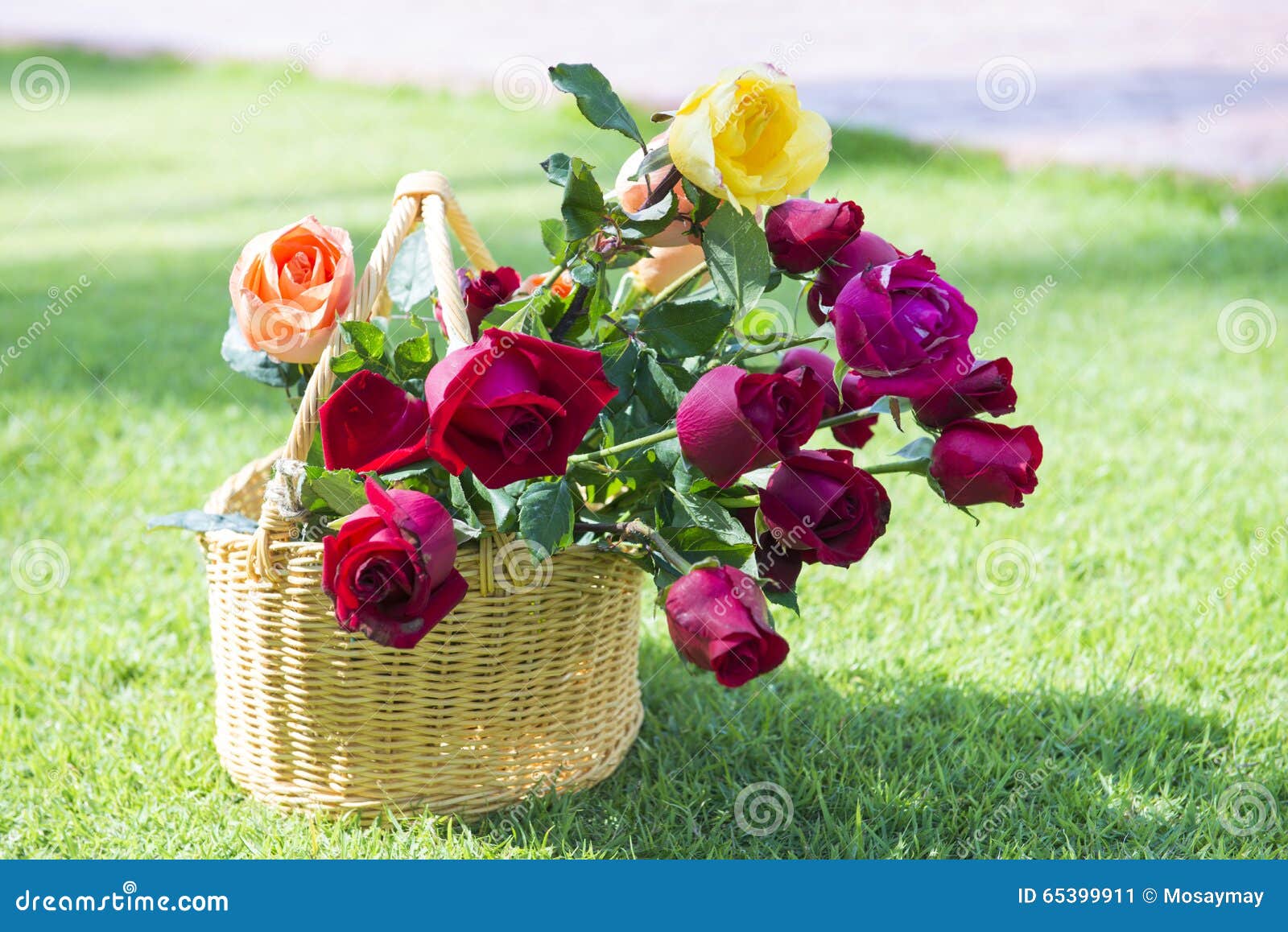 Red Roses In A Basket On White Royalty-Free Stock Image | CartoonDealer ...
