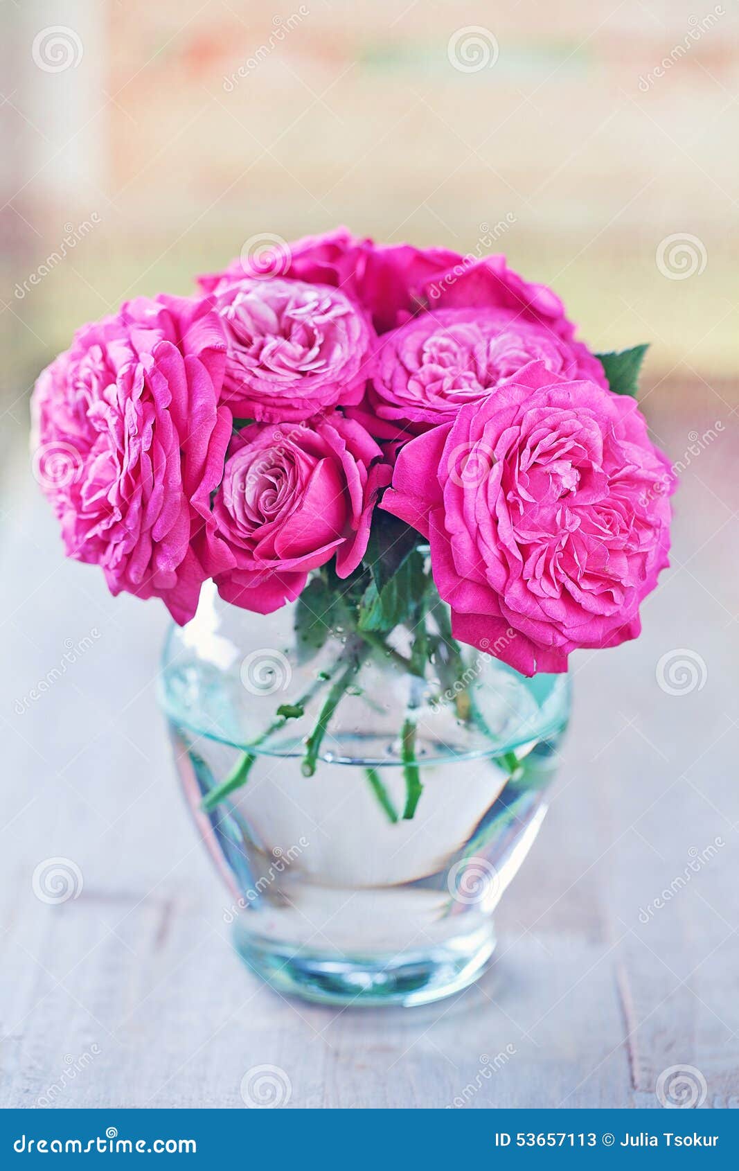 Beautiful fresh roses stock image. Image of decoration - 53657113