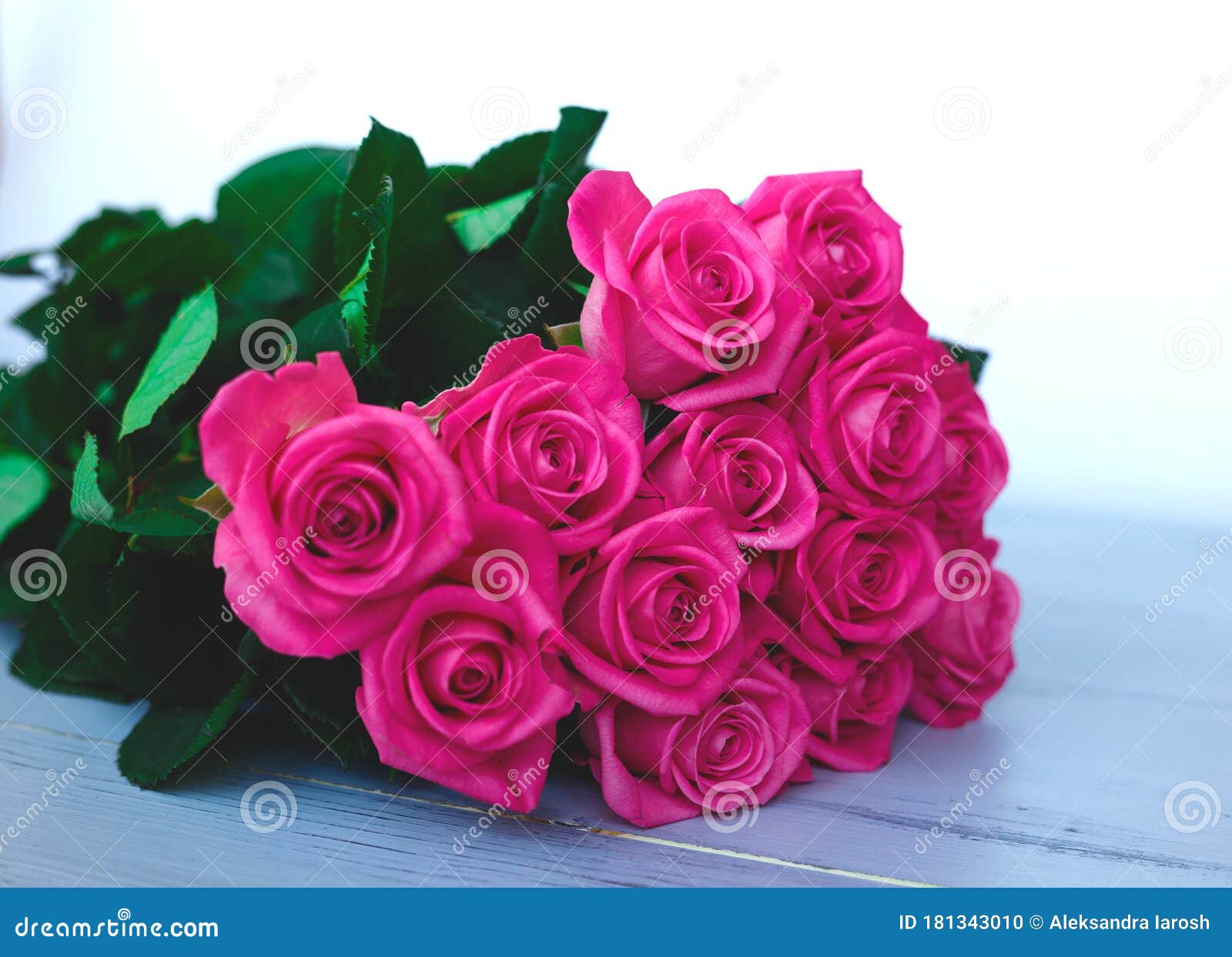 Beautiful Fresh Spring Roses on a Grey Background Stock Photo - Image ...