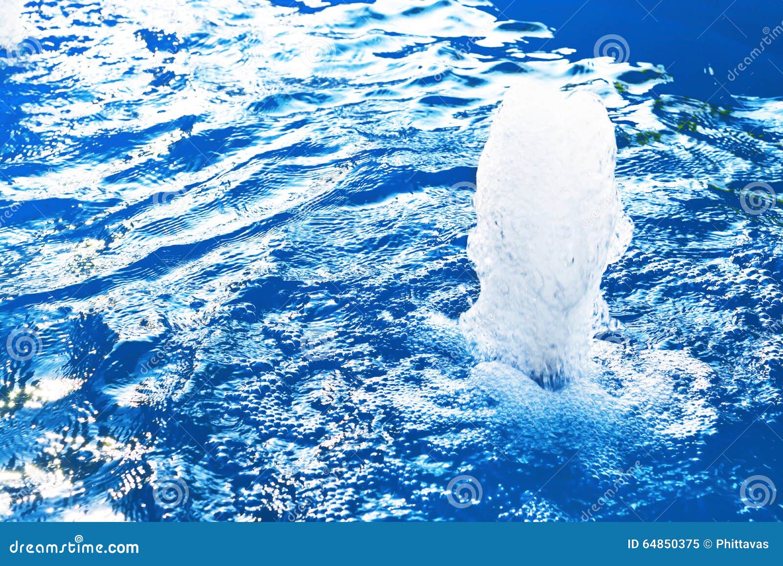 Beautiful Fresh Spring Water Fountain in Pond Stock Image - Image of ...