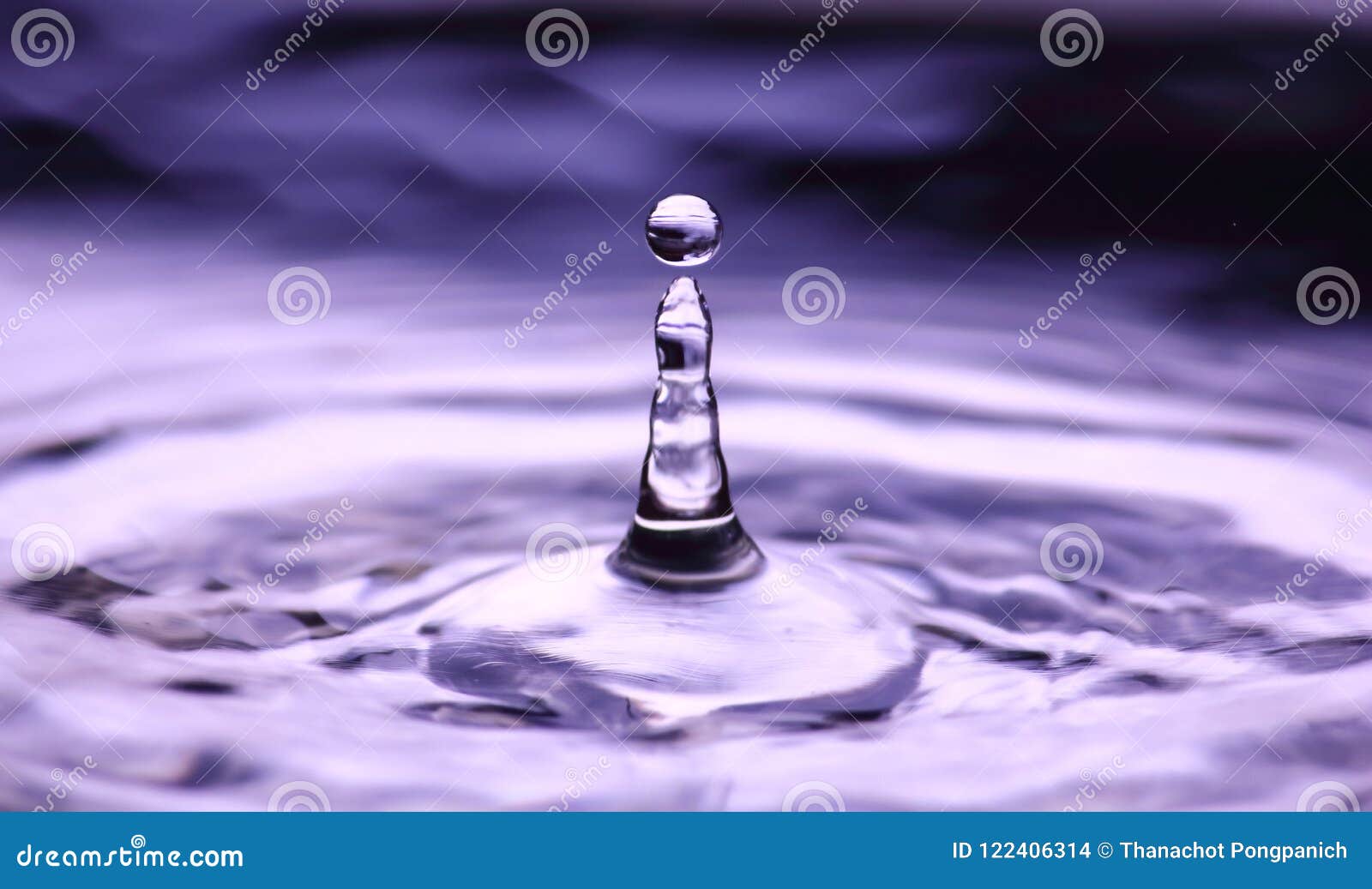 Beautiful Fresh Water Drops in Fresh Nature Stock Photo - Image of ...