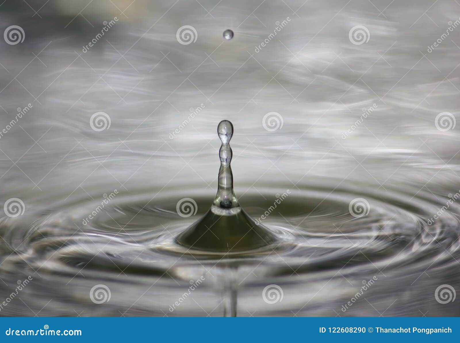 Beautiful Fresh Water Drops in Fresh Nature Stock Photo - Image of ...