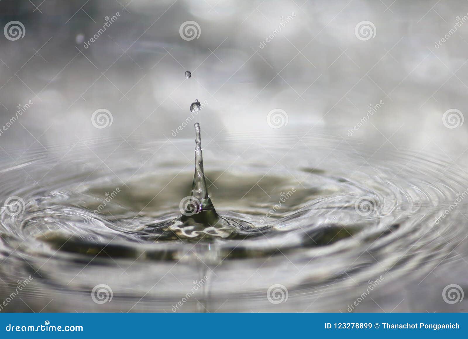 Beautiful Fresh Water Drops in Fresh Nature Stock Image - Image of drop ...