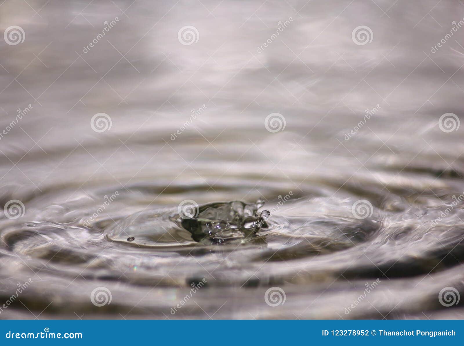 Beautiful Fresh Water Drops in Fresh Nature Stock Photo - Image of ...