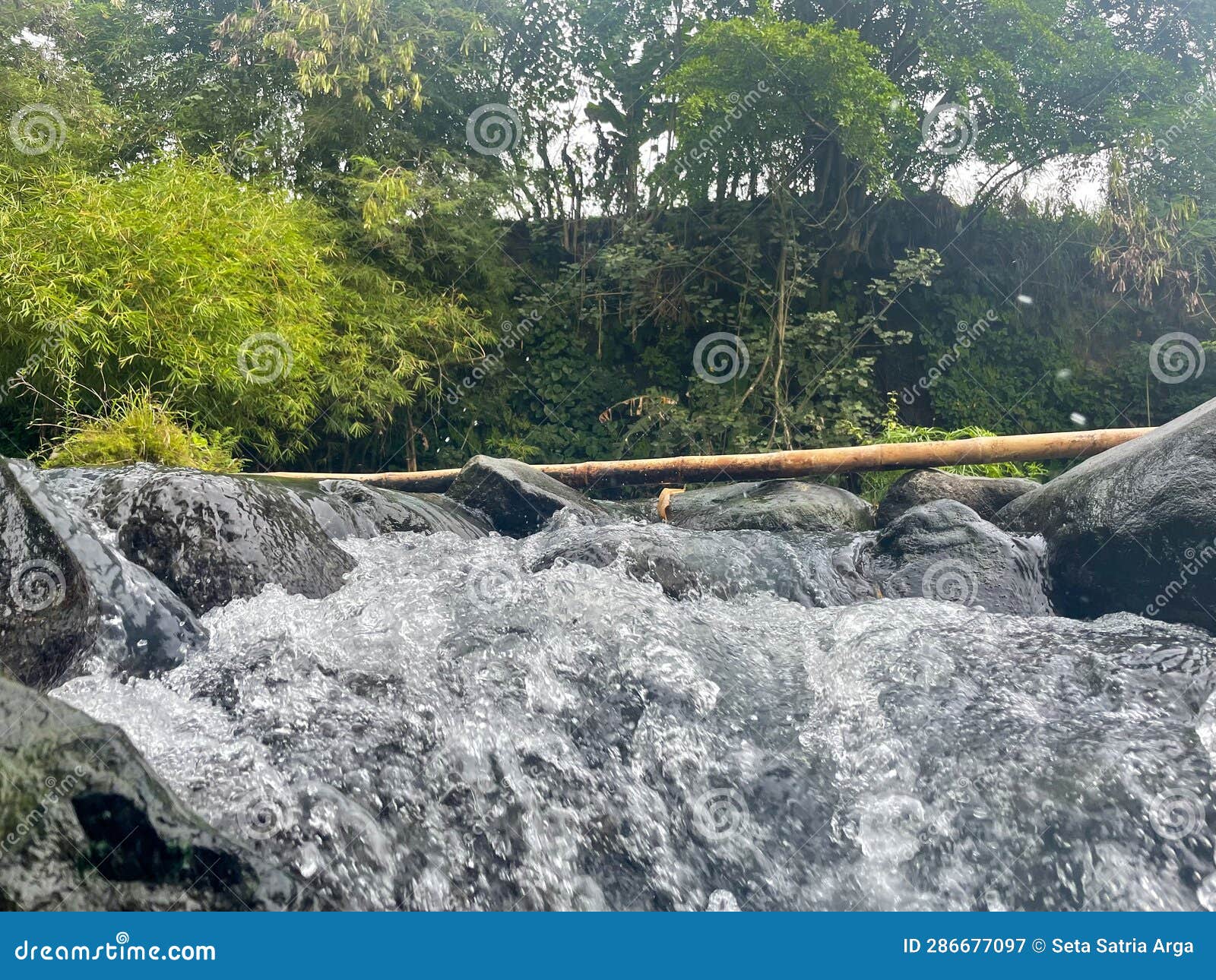 Beautiful Fresh Water River with Rocks,bamboo and Green Trees Stock ...