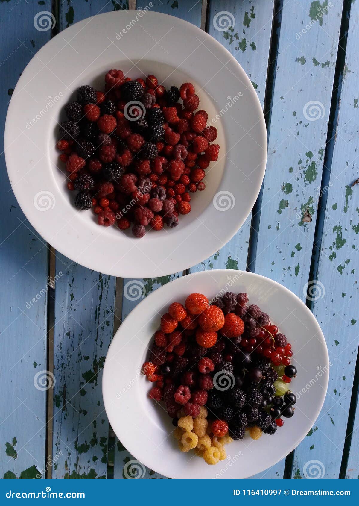 Beautiful Freshly Picked Wild Berries Stock Image - Image of beautiful ...