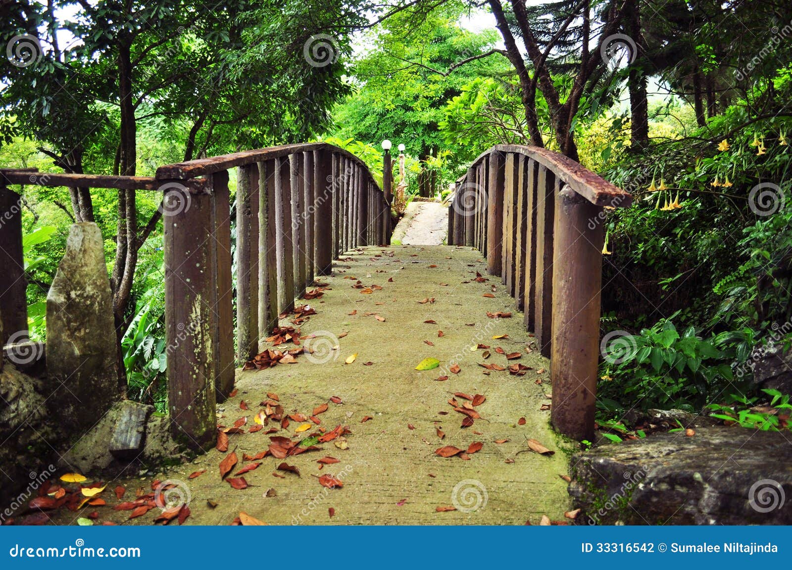 A Beautiful Front View of a Little Bridge Stock Photo - Image of nature ...