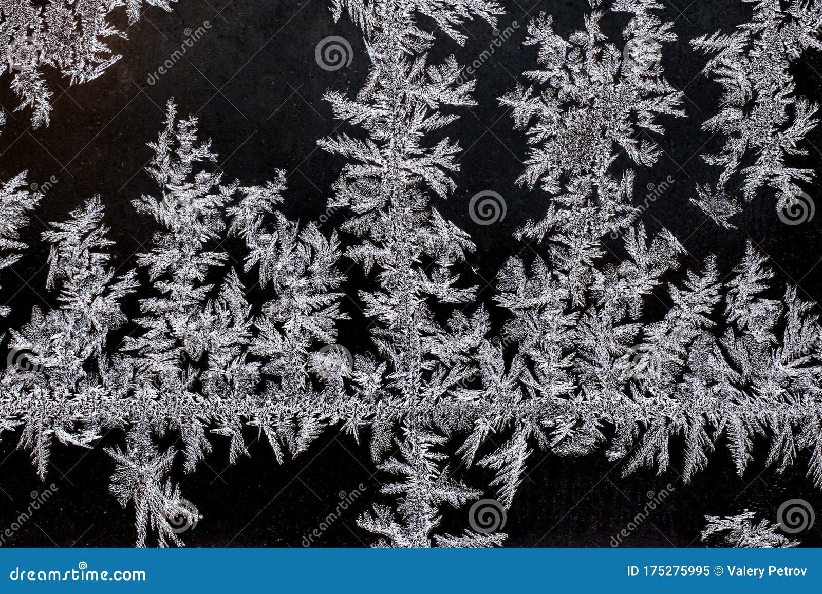 Beautiful Frosty Patterns on the Winter Window, Texture of Frosty ...