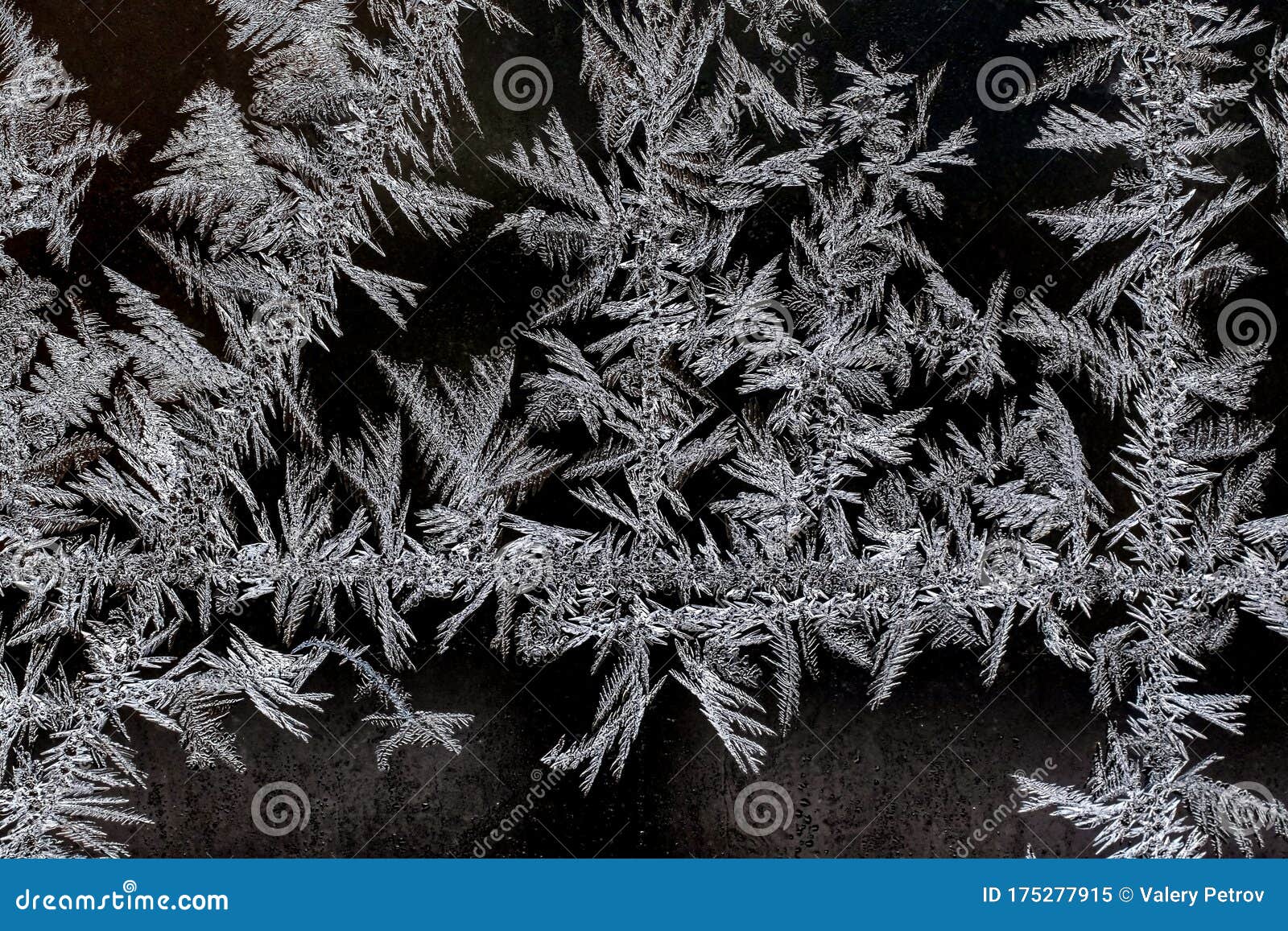 Beautiful Frosty Patterns on the Winter Window, Texture of Frosty ...