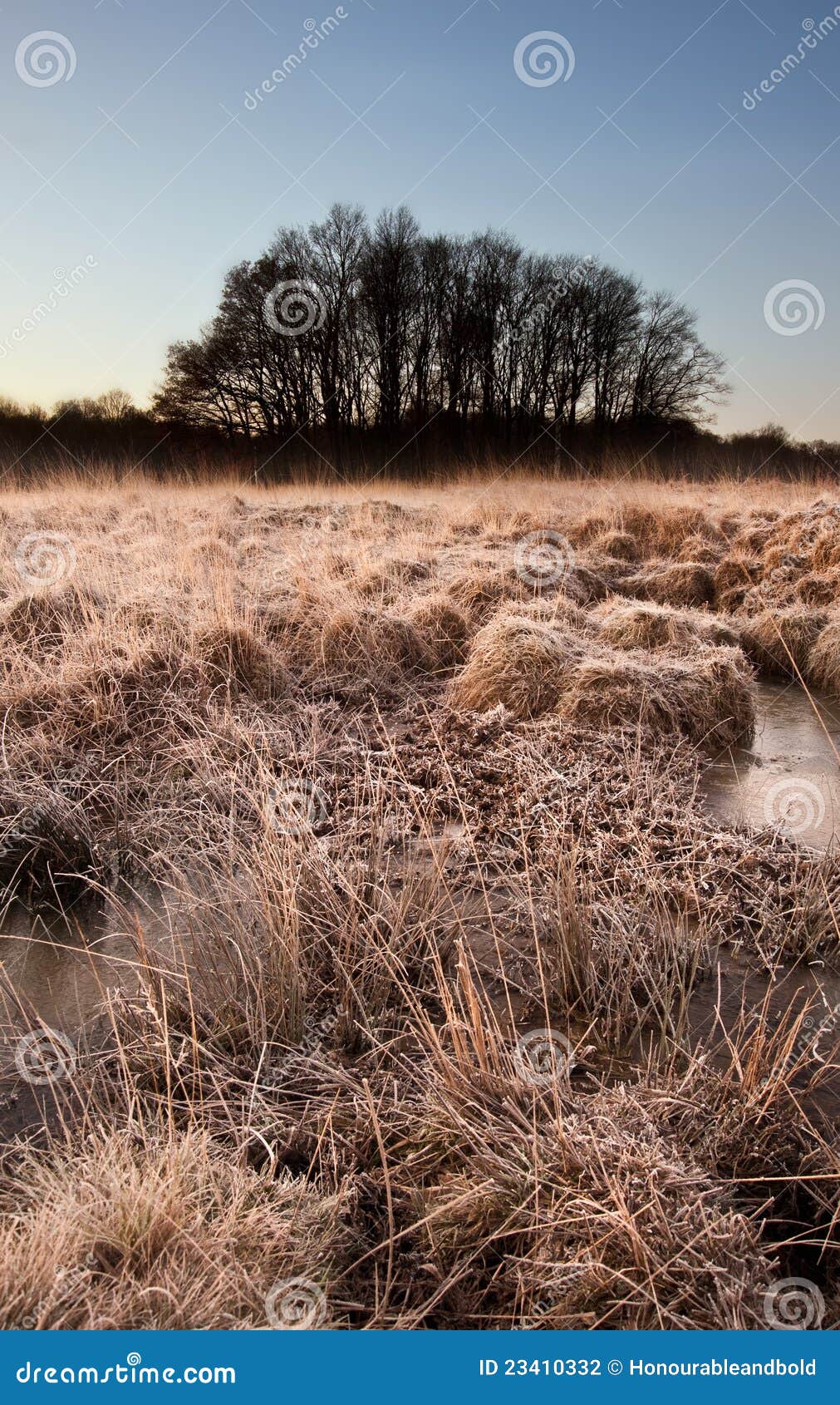 Beautiful Frozen Field Winter Landscape Stock Photo - Image of forest ...