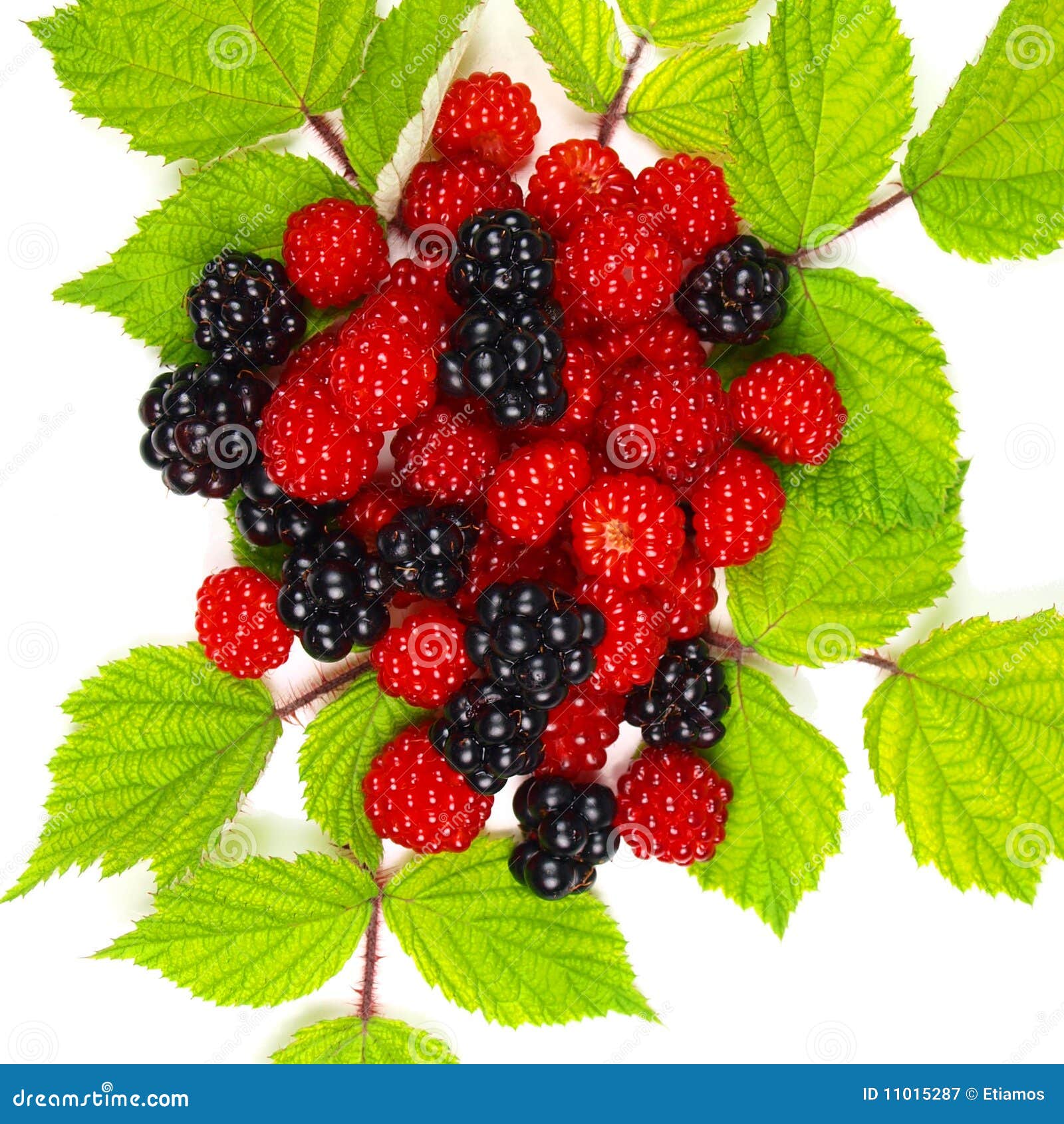 Beautiful fruit stock image. Image of dessert, isolated - 11015287