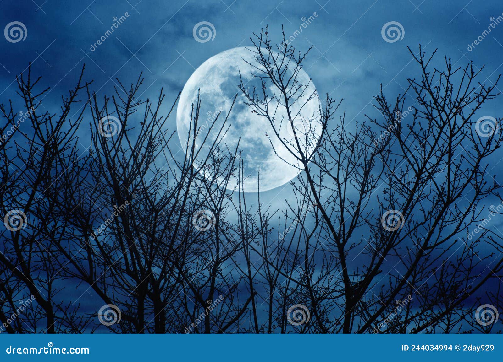 Beautiful Moon Night Sky, Nature, Full Moon Stock Photo - Image of ...