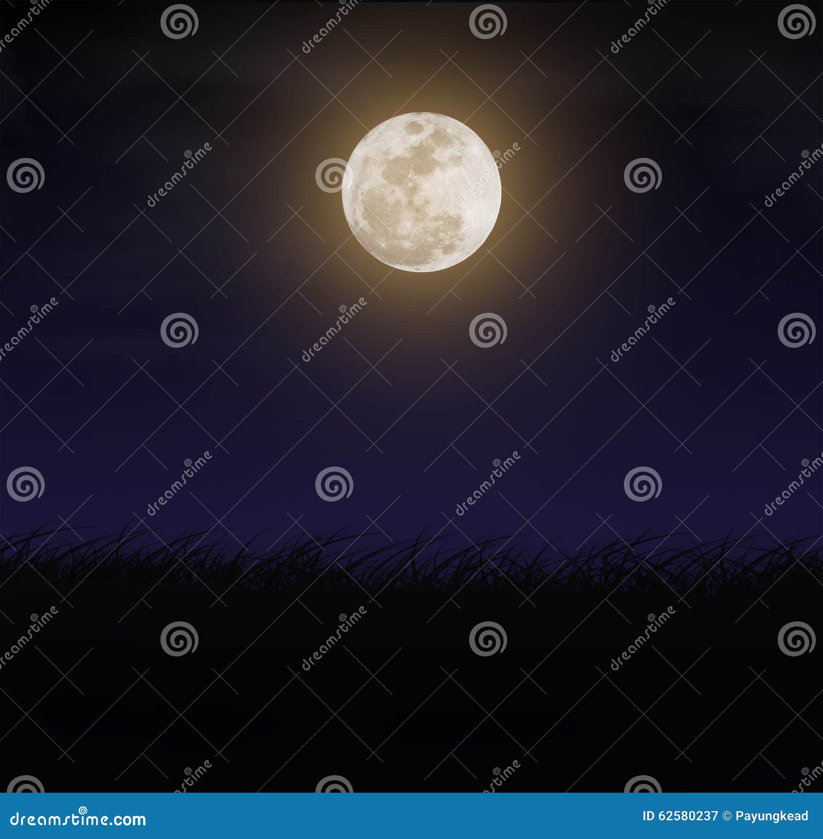 Beautiful Full Moon and Silhouettes Grass Stock Image - Image of summer ...
