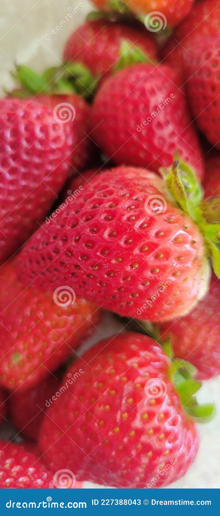 Beautiful Fuzzy Strawberries Stock Image - Image of beautiful ...