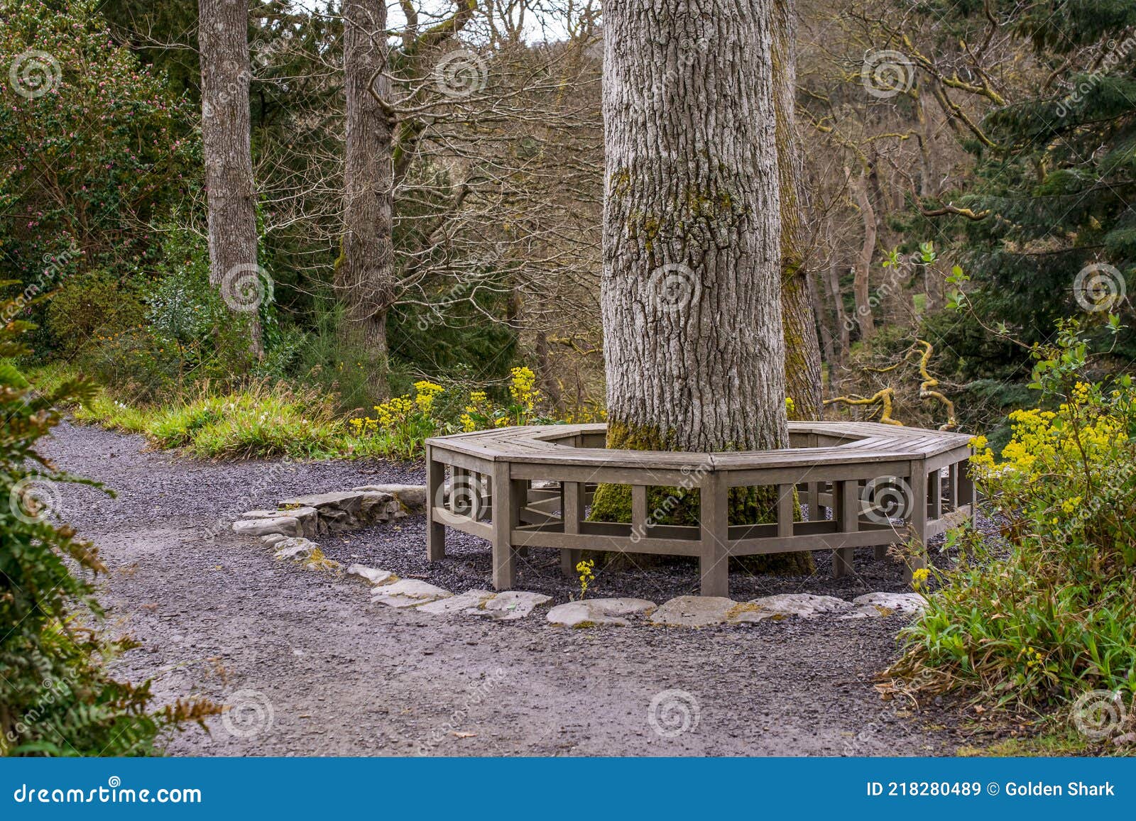 A Beautiful Garden Bench Besides a Tree Stock Image - Image of picnic ...