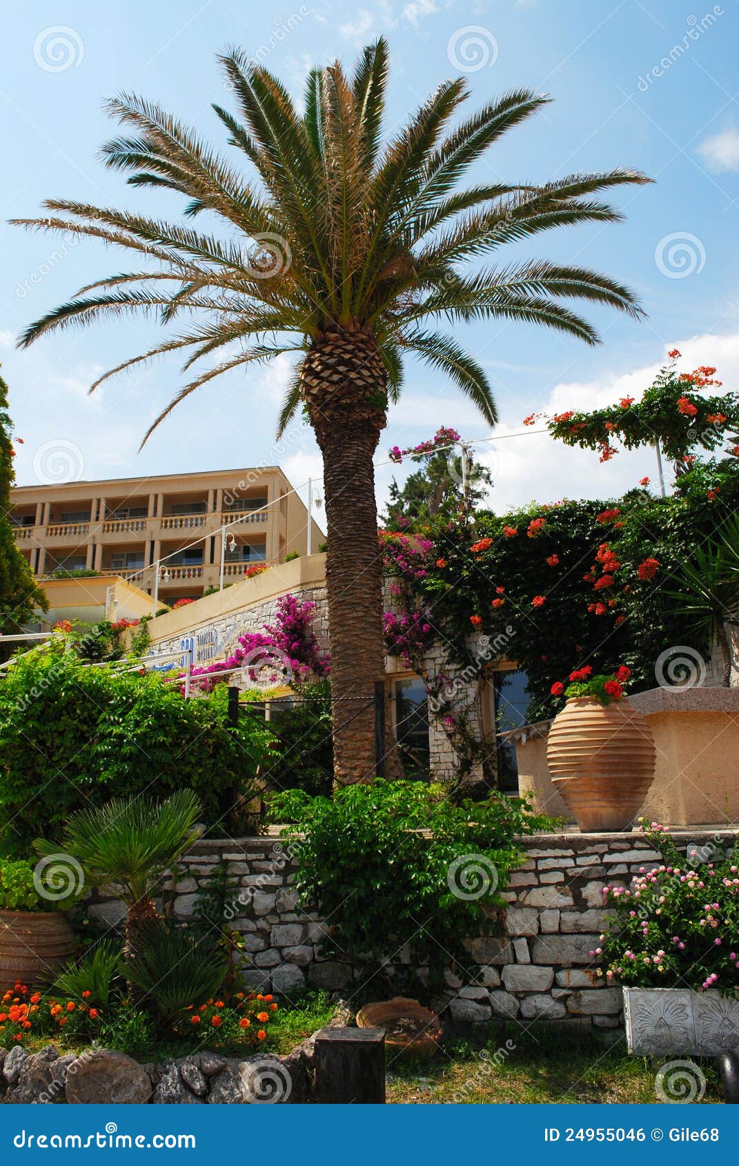 Beautiful Garden in Corfu, Greece Stock Photo - Image of beautiful ...