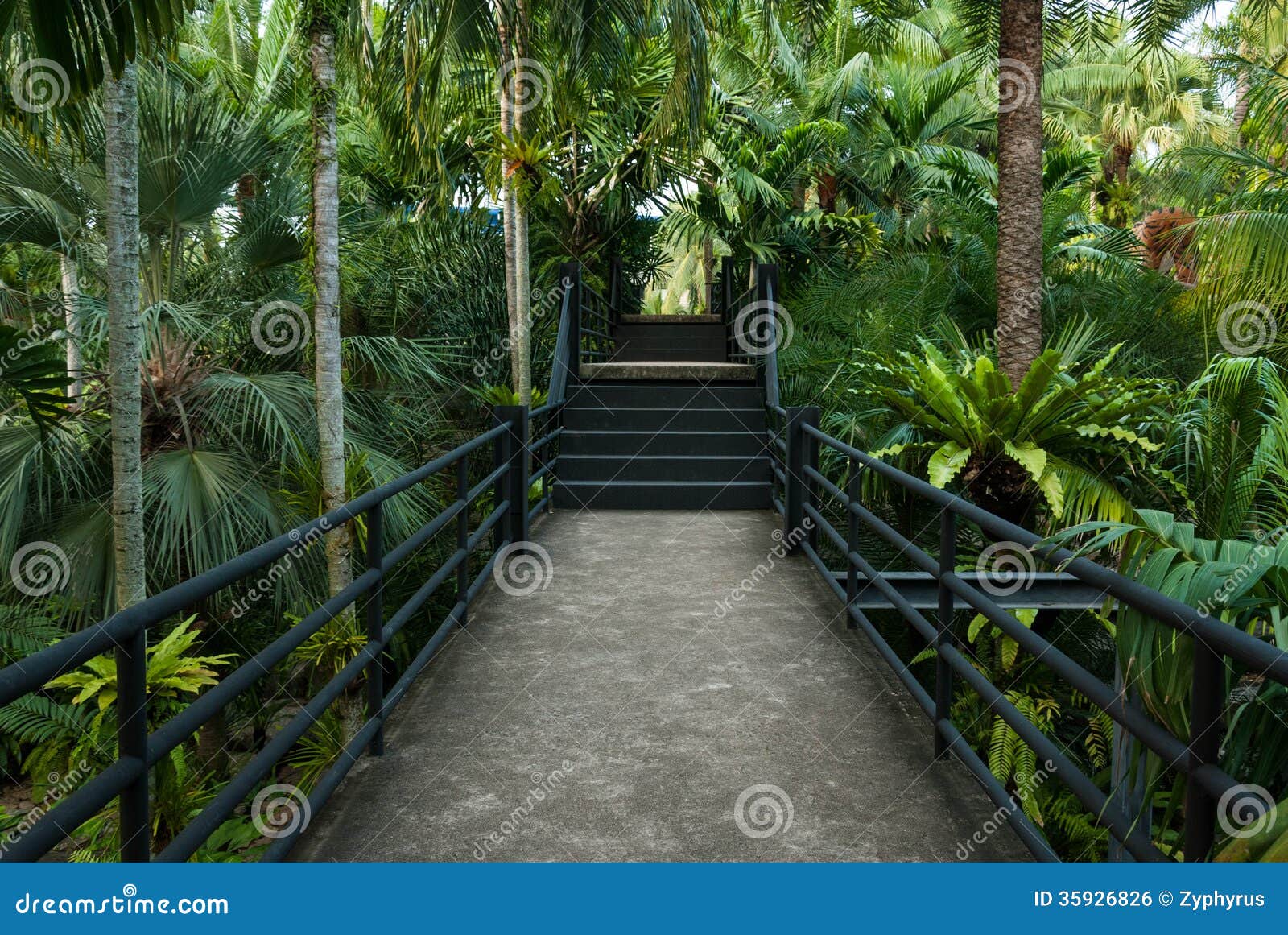 Beautiful garden corridor stock photo. Image of light - 35926826