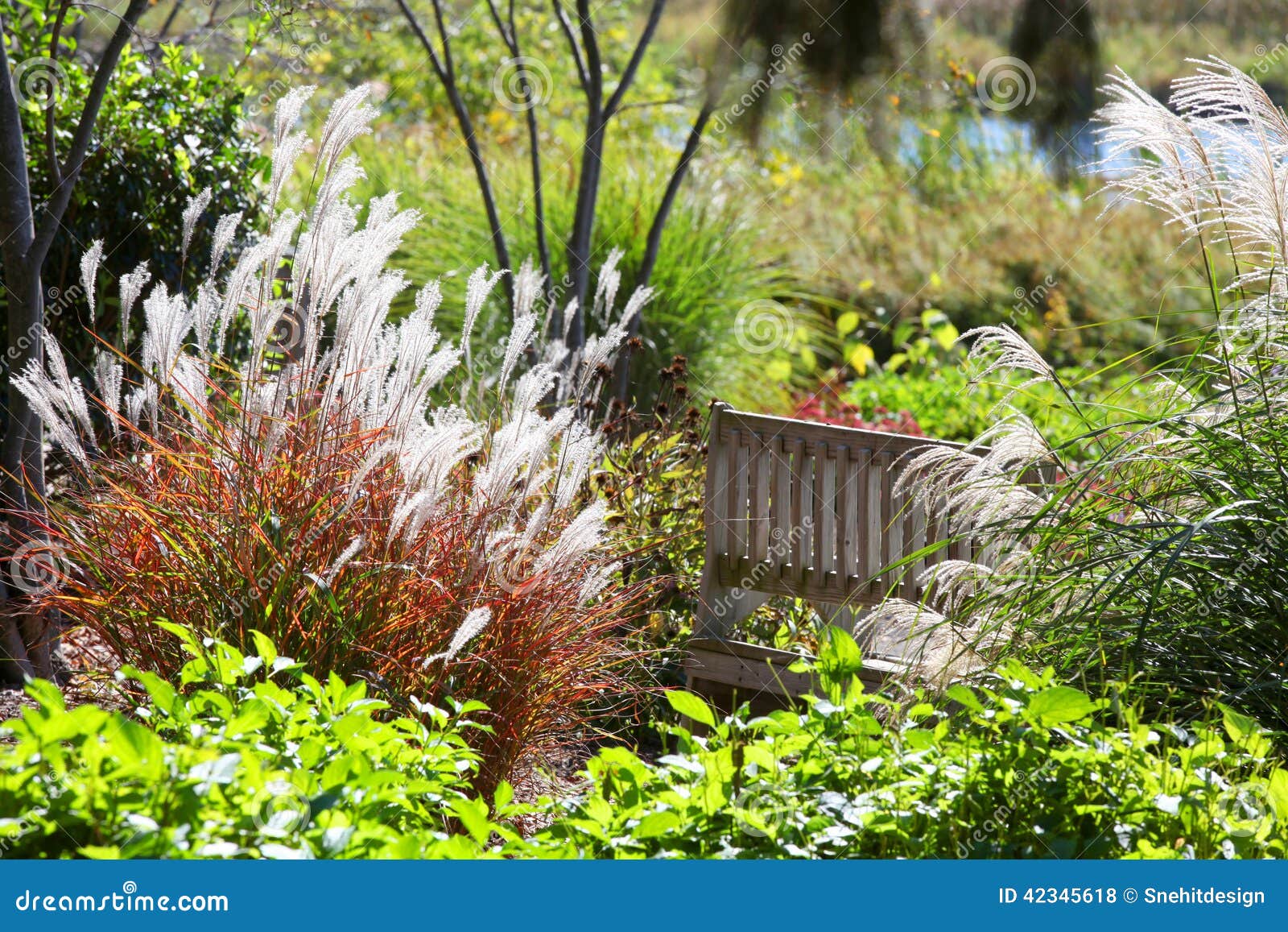 Beautiful garden stock photo. Image of leafy, bench, lush - 42345618