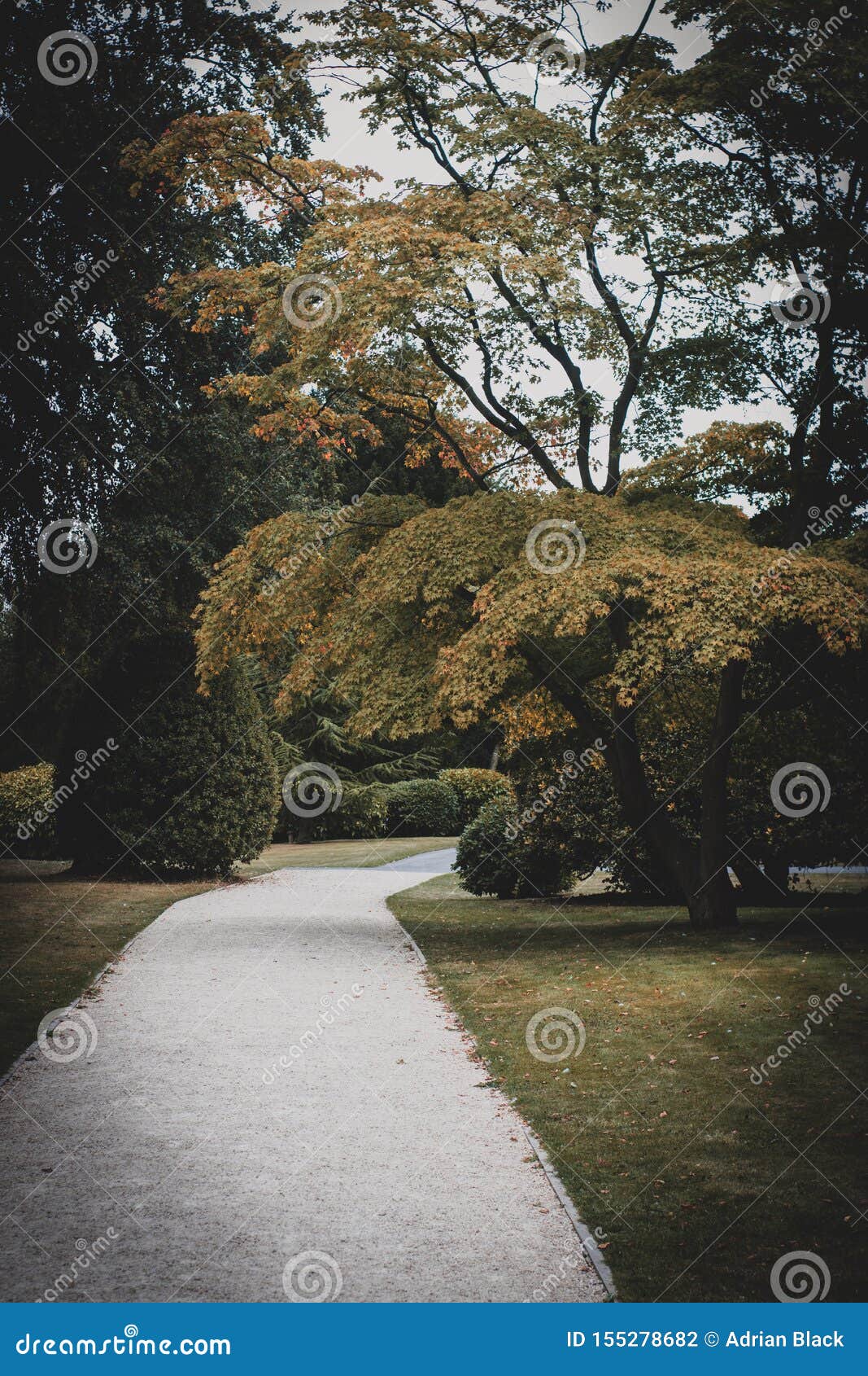 Beautiful Garden in Doncaster Stock Photo - Image of doncaster, castle ...