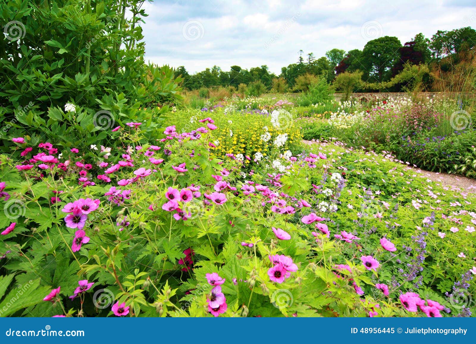 Beautiful Garden Full of Flowers Stock Image - Image of designing, lush ...