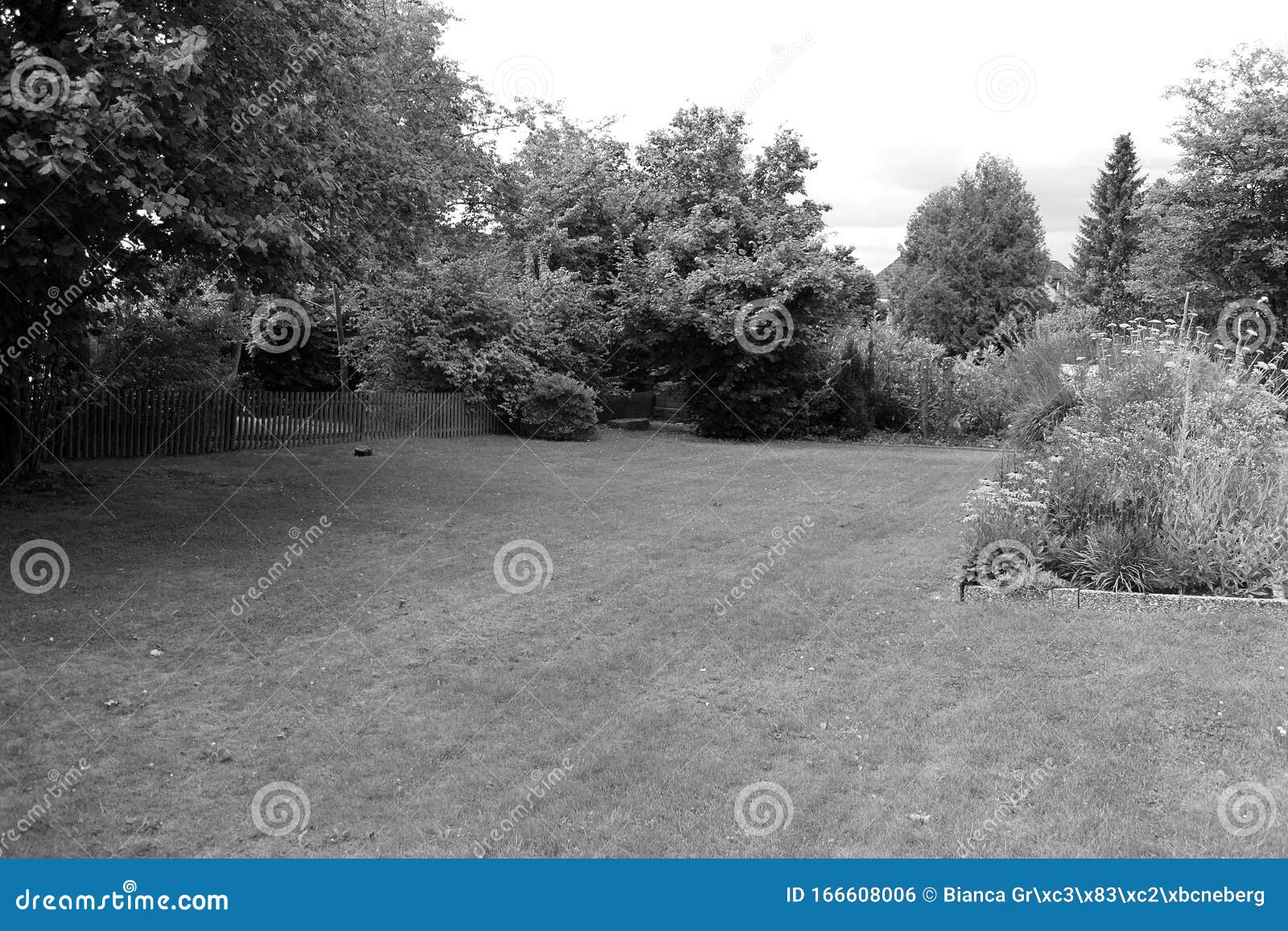 Black and White of a Beautiful Garden with Grass and a Flower Bed Stock ...