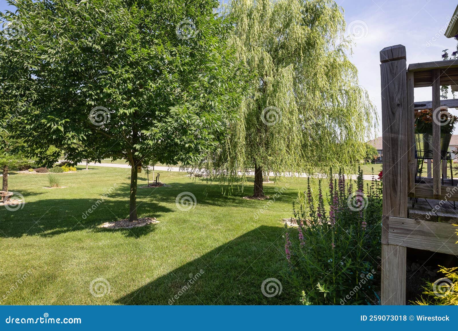 Beautiful Garden with Green Trees Under the Clear Sky Editorial Stock ...