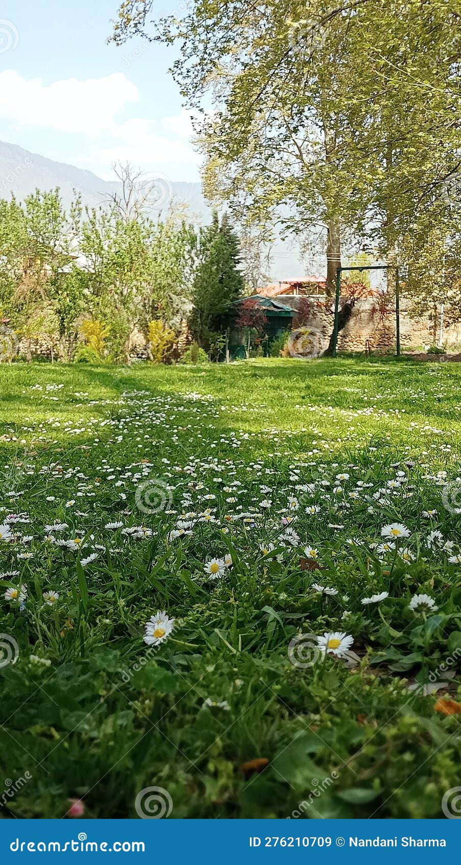 Beautiful Garden from Kashmir with Greenery Stock Image - Image of ...