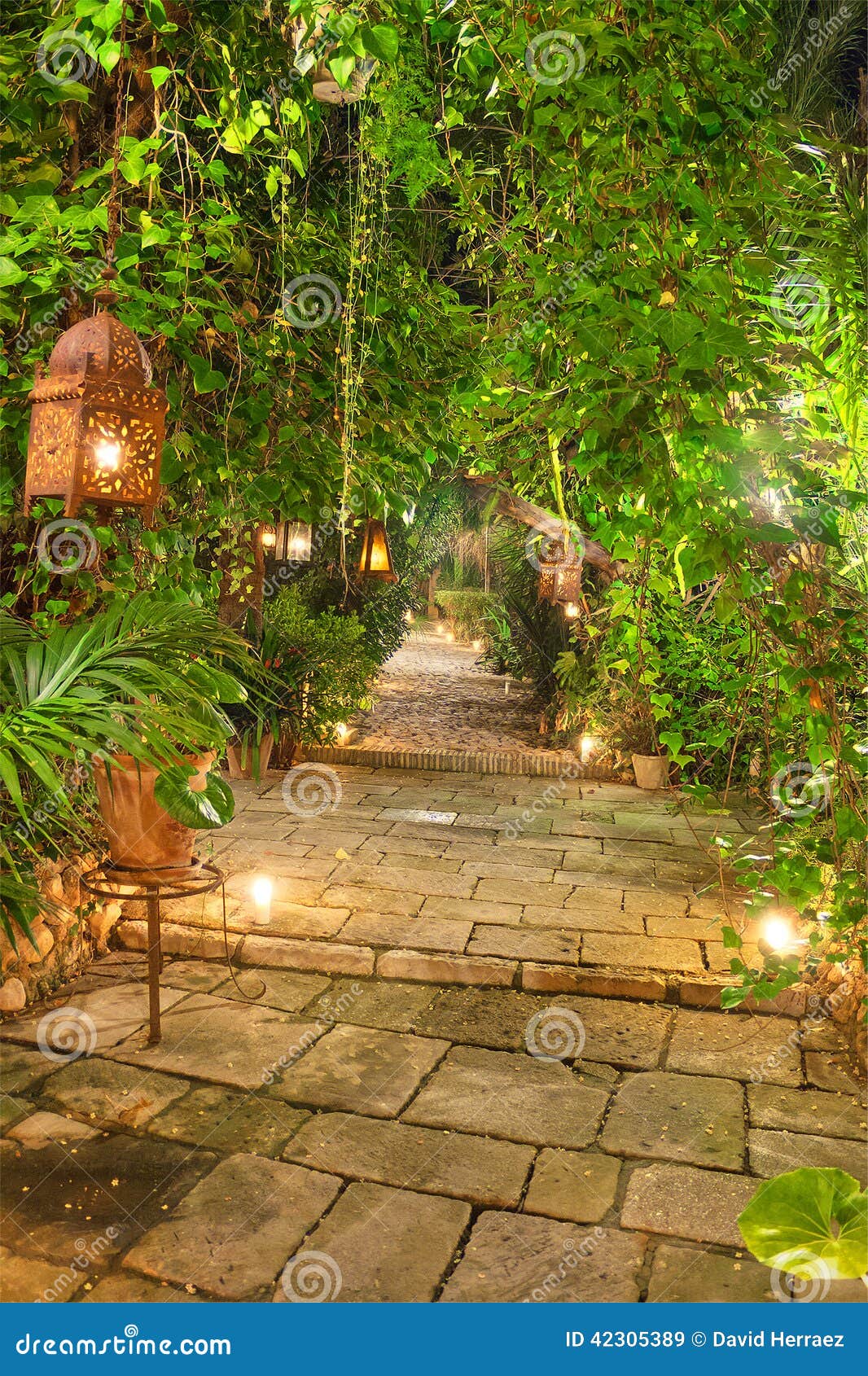 Beautiful Garden Path at Night. Stock Image - Image of lamp, color ...