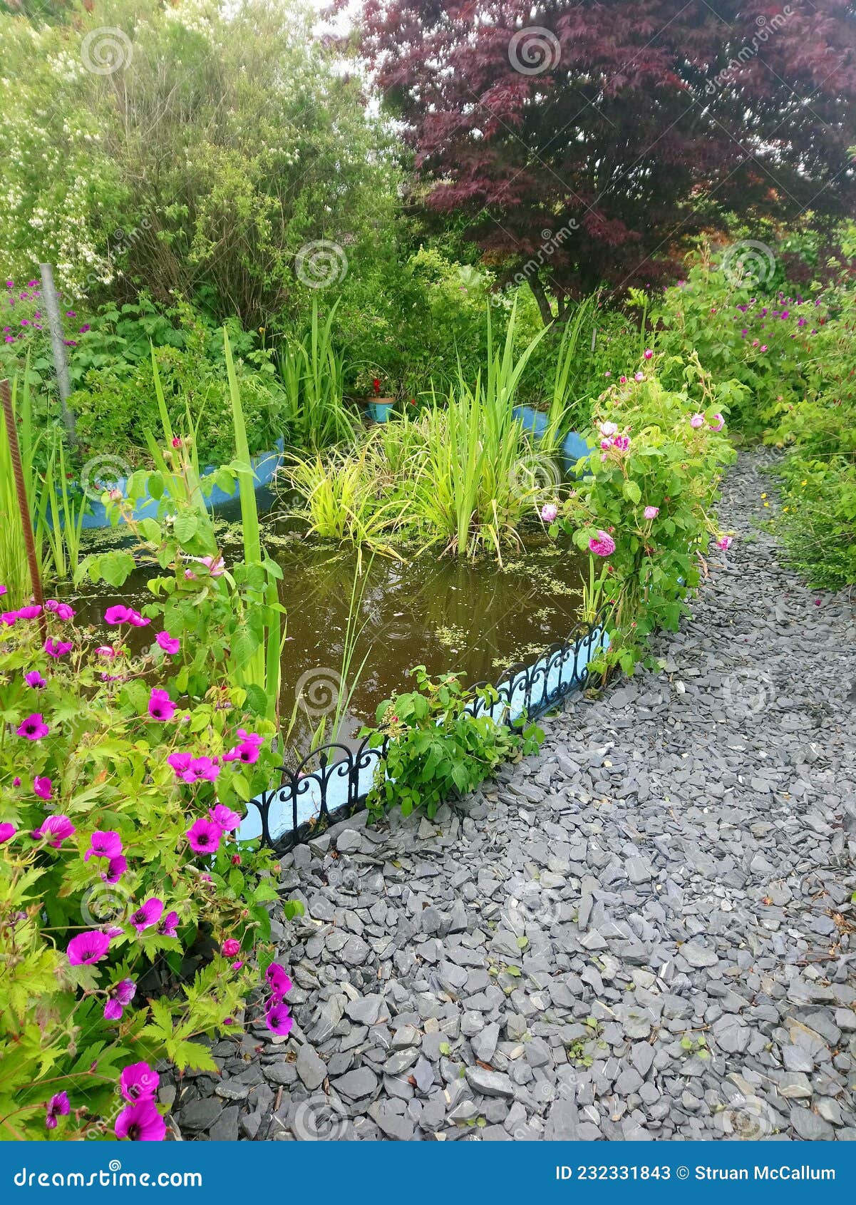Beautiful garden pond stock image. Image of beautiful - 232331843