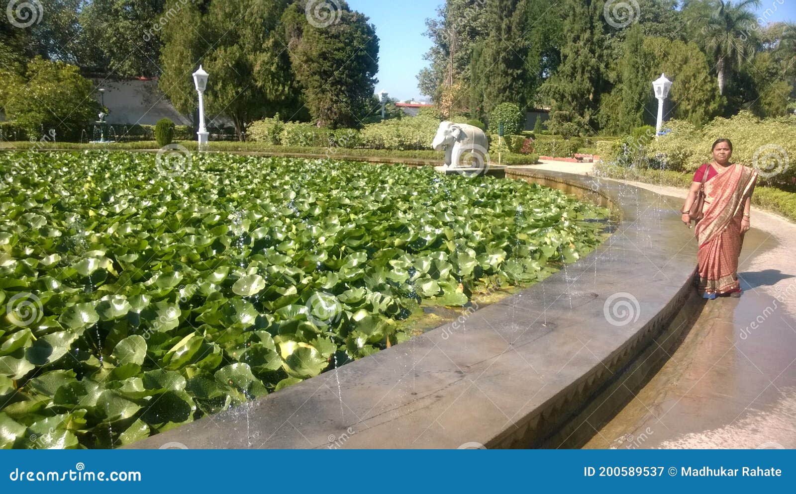 Beautiful Garden in Rajasthan. Editorial Photography - Image of ...