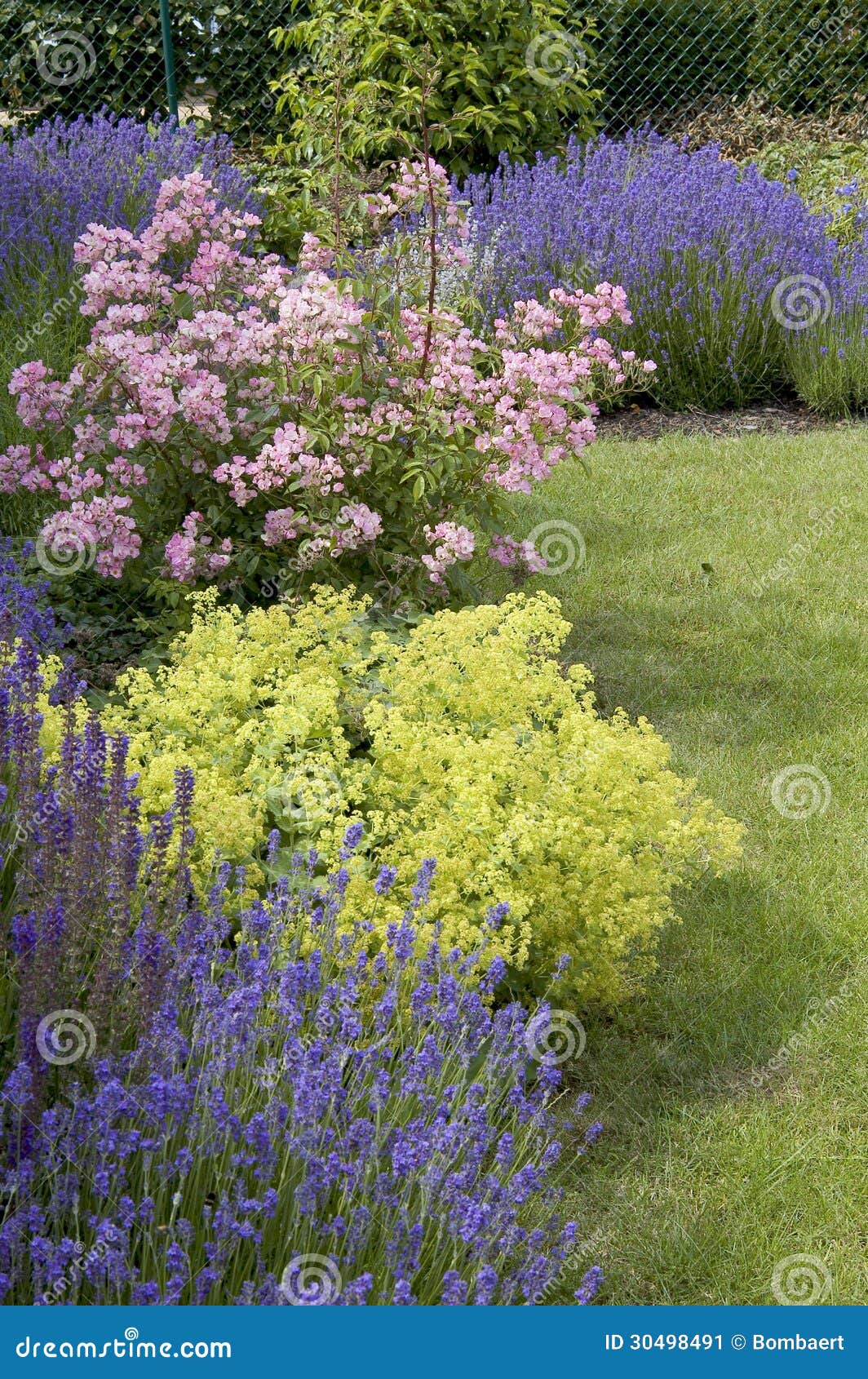 Beautiful Garden in Spring. Stock Image - Image of landscaped, flowers ...