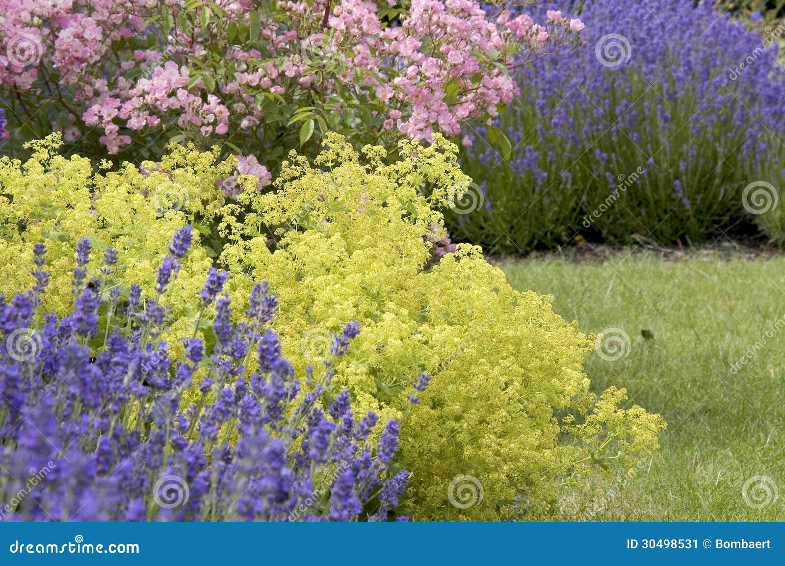Beautiful Garden in Spring. Stock Image - Image of spring, lawn: 30498531