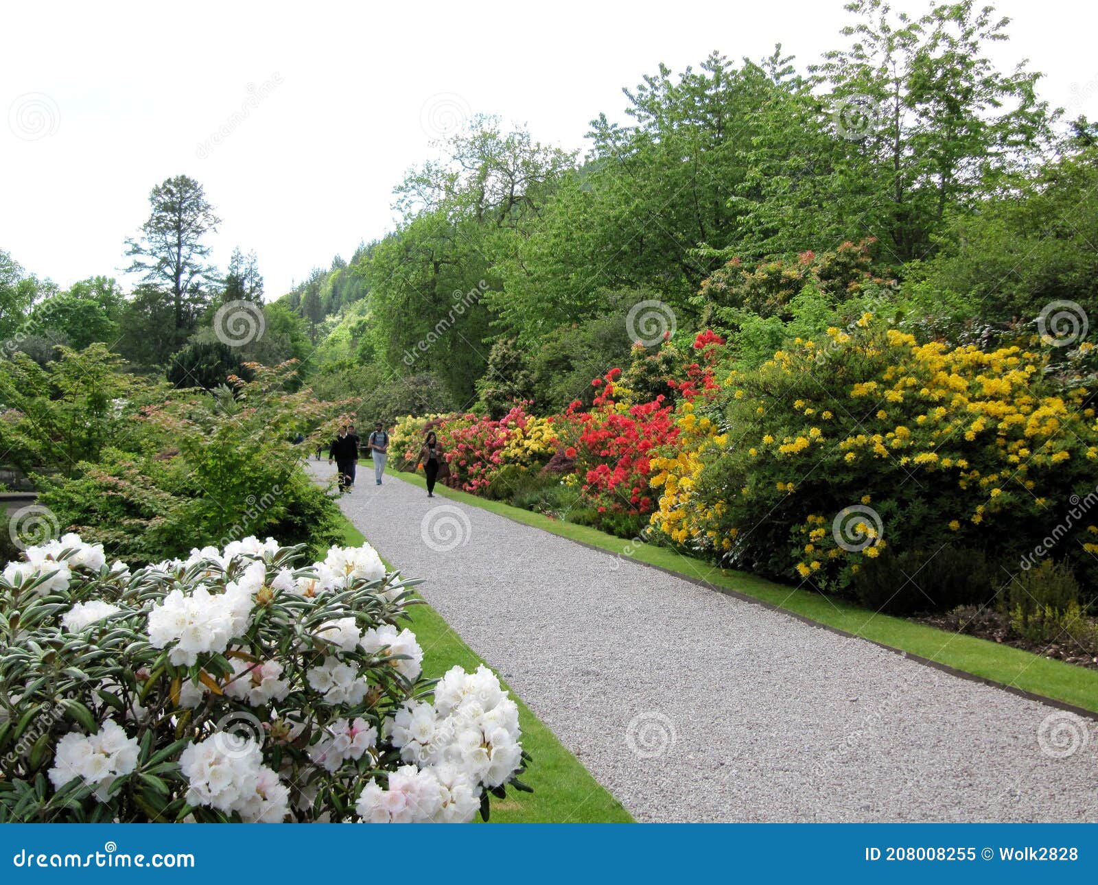 Beautiful garden in spring stock image. Image of garden - 208008255