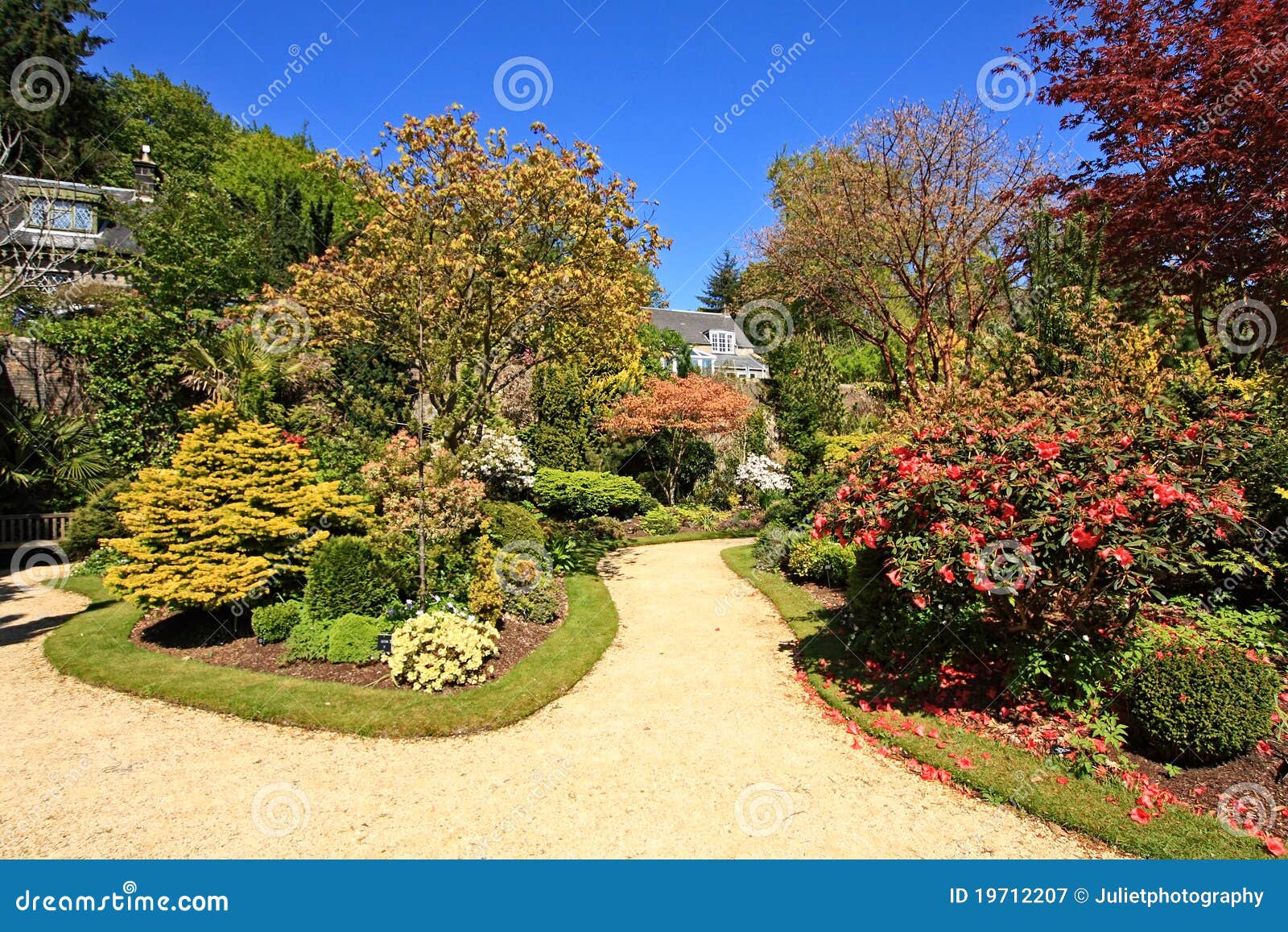 Beautiful Garden in Spring Time Stock Image - Image of bloom, great ...